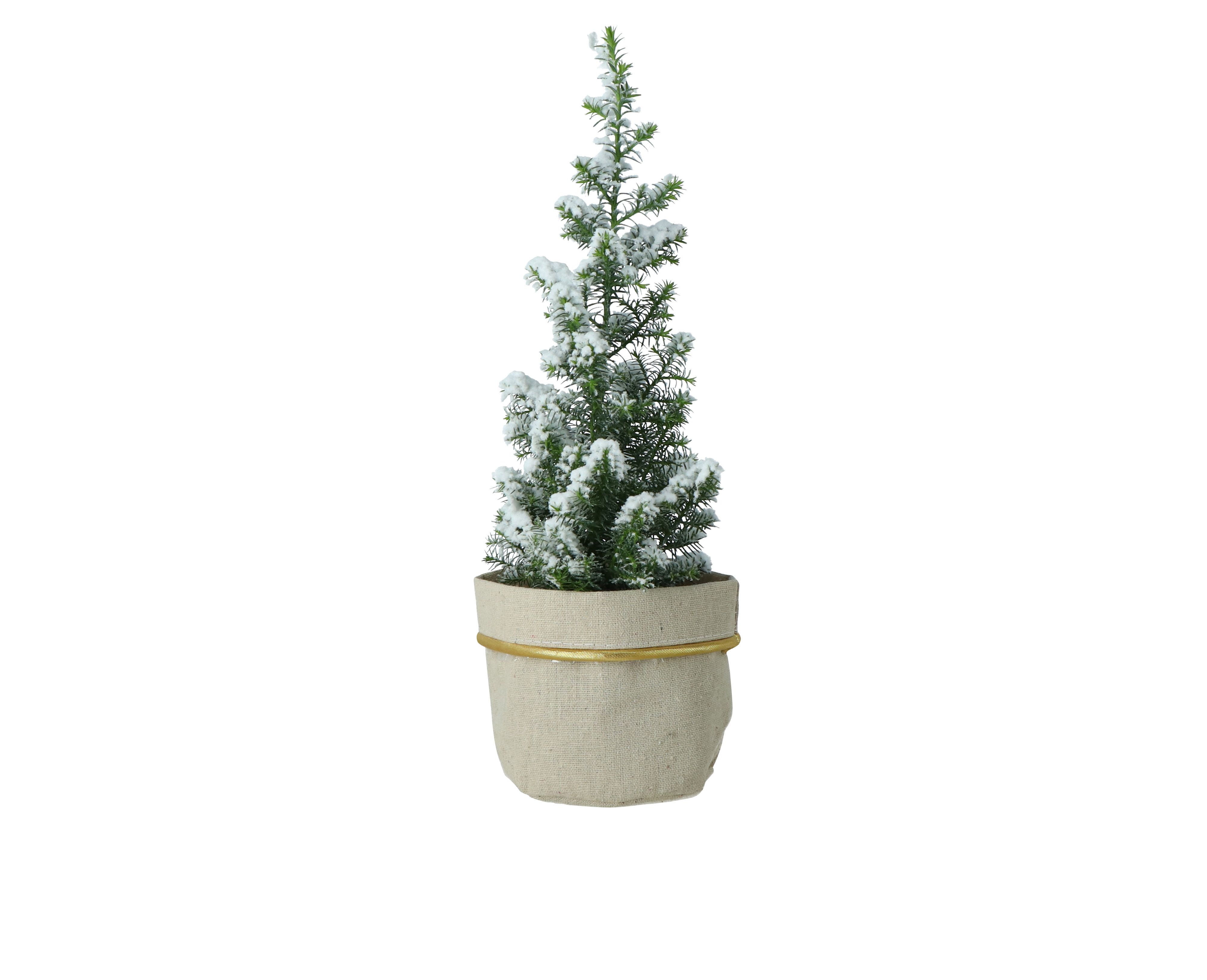 Natural Hessian Decorative pot | DIY at B&Q