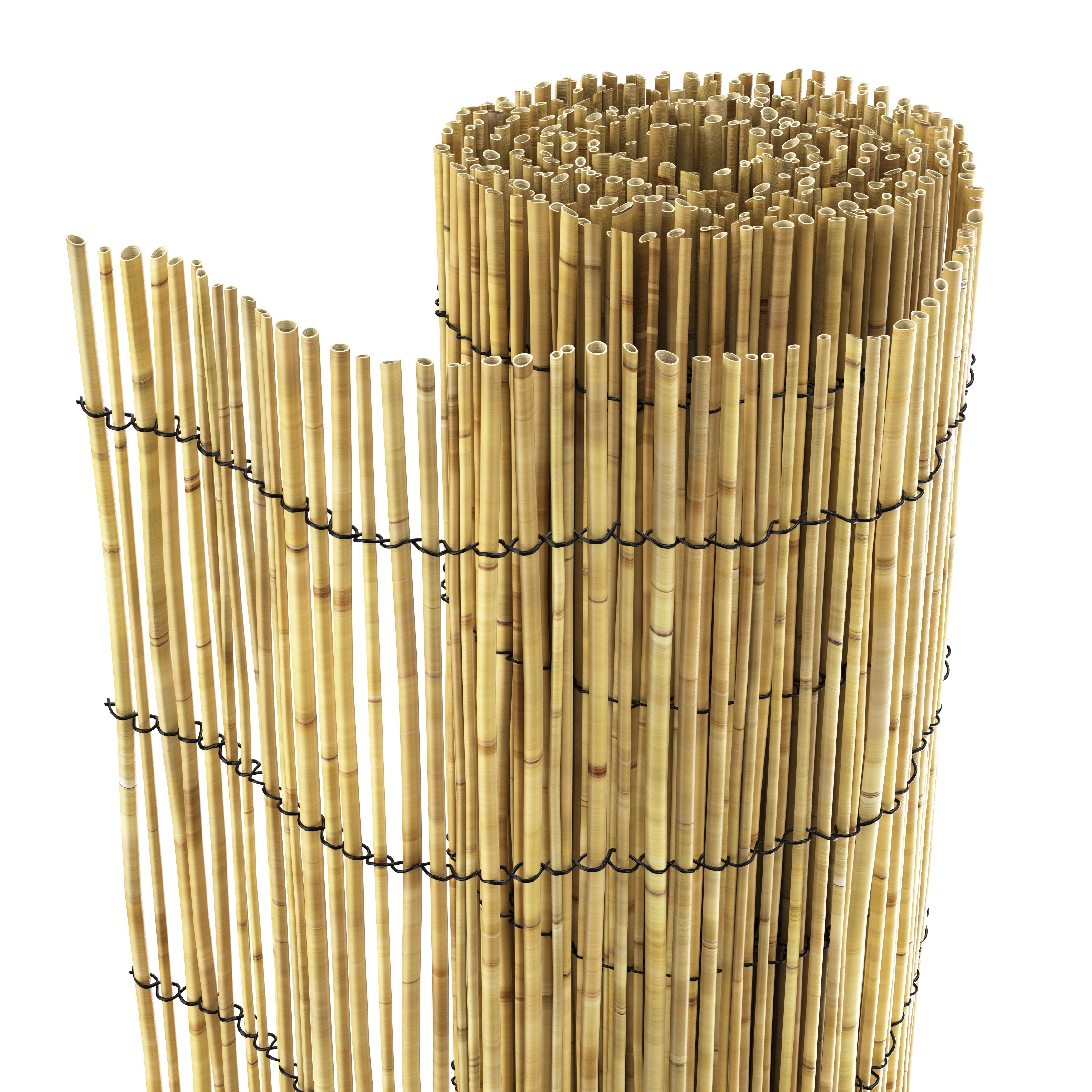 Natural Reed Garden screen (H)1m (W)3m
