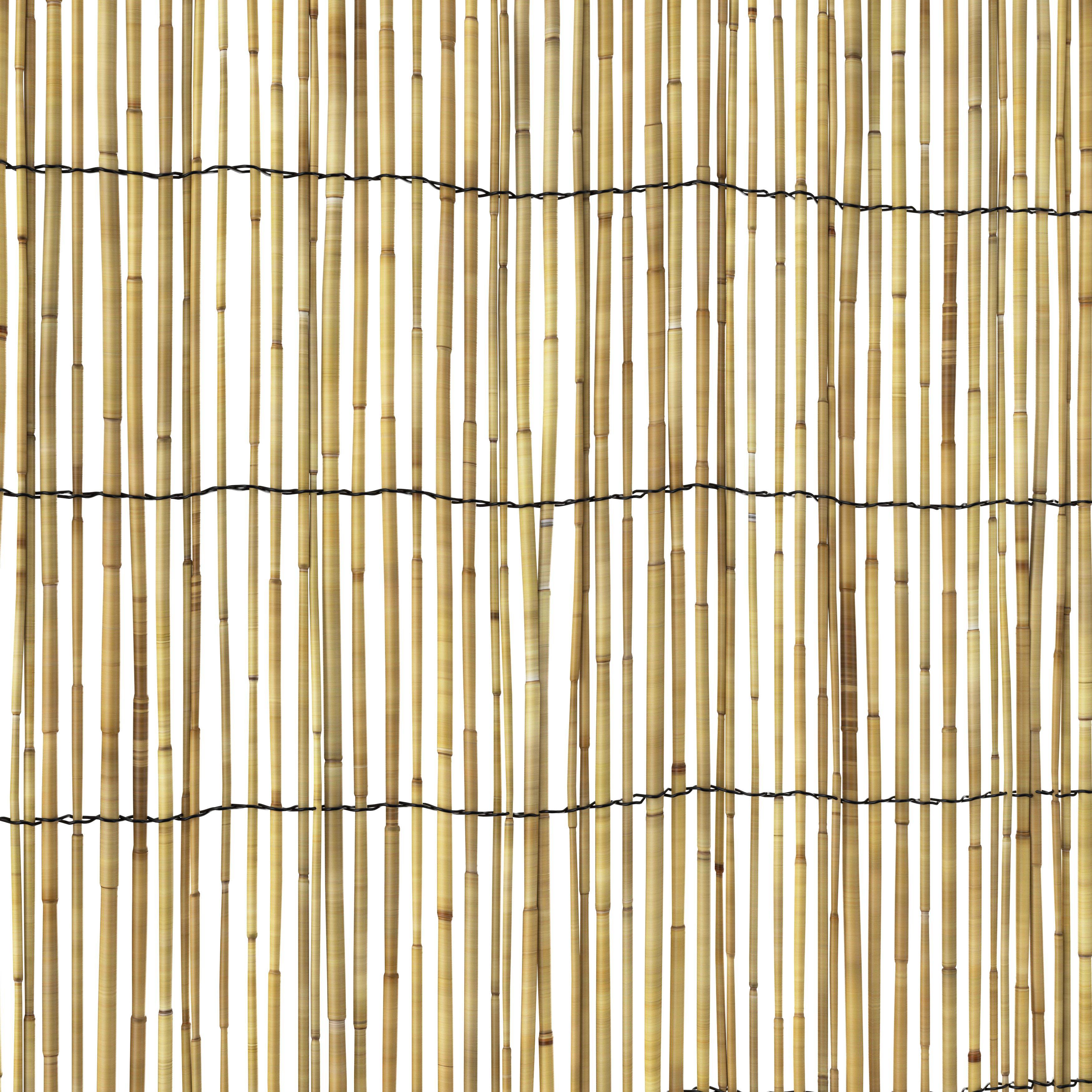 Natural Reed Garden screen (H)1m (W)3m