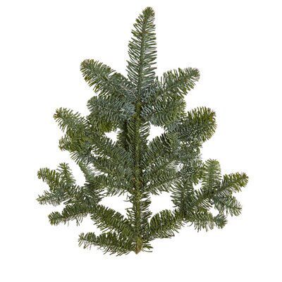 NORDMAN FIR BUNDLE 45CM | £1 at B&Q