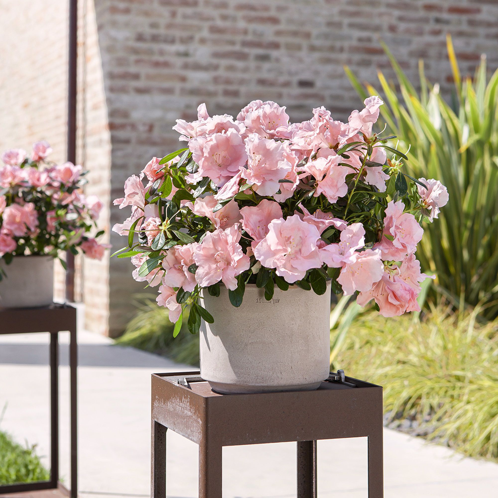 Outdoor Pot Matt Terracotta Plant pot (Dia) 25cm, (H)20.5cm, 7.8L