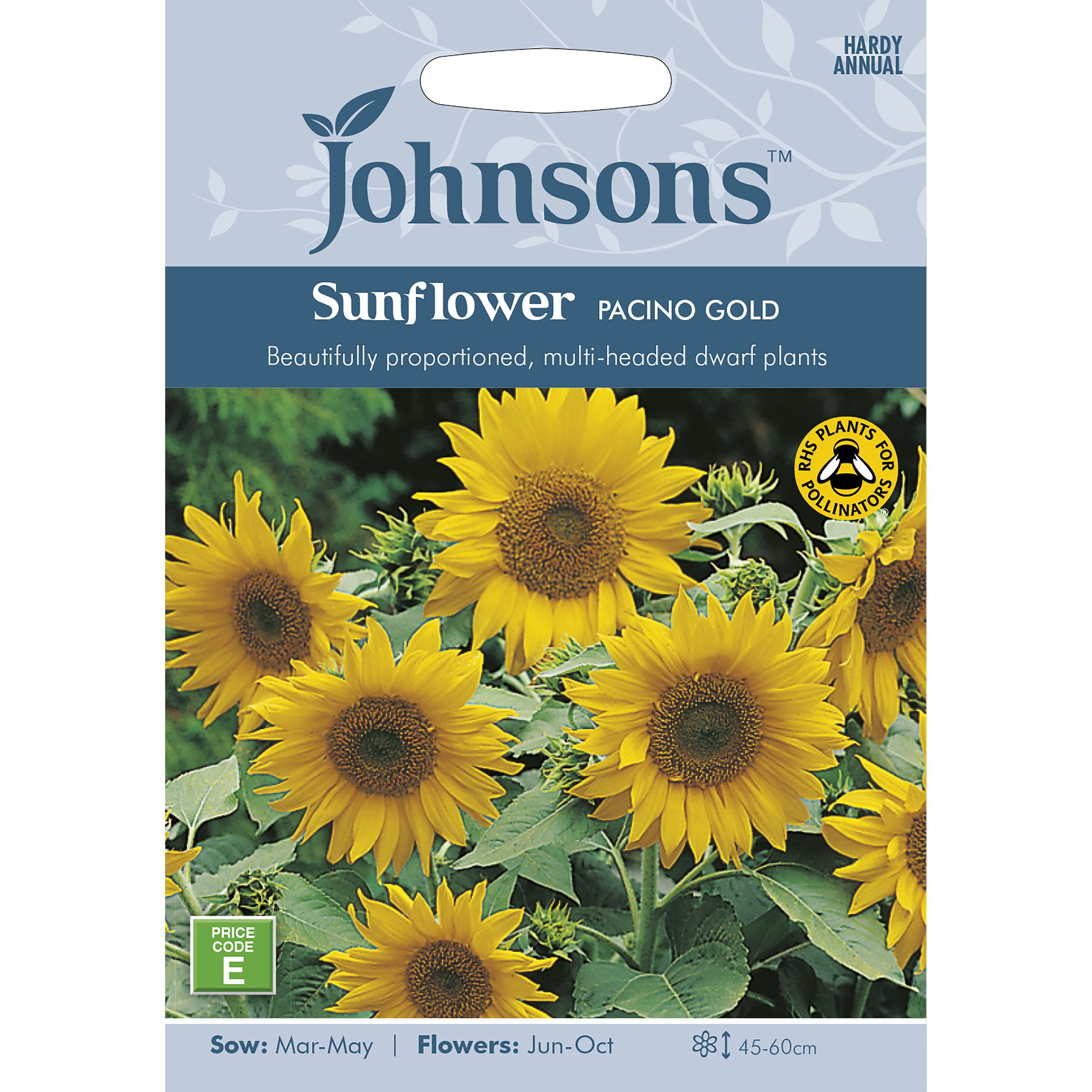 Pacino Gold Sunflower Seed | DIY at B&Q