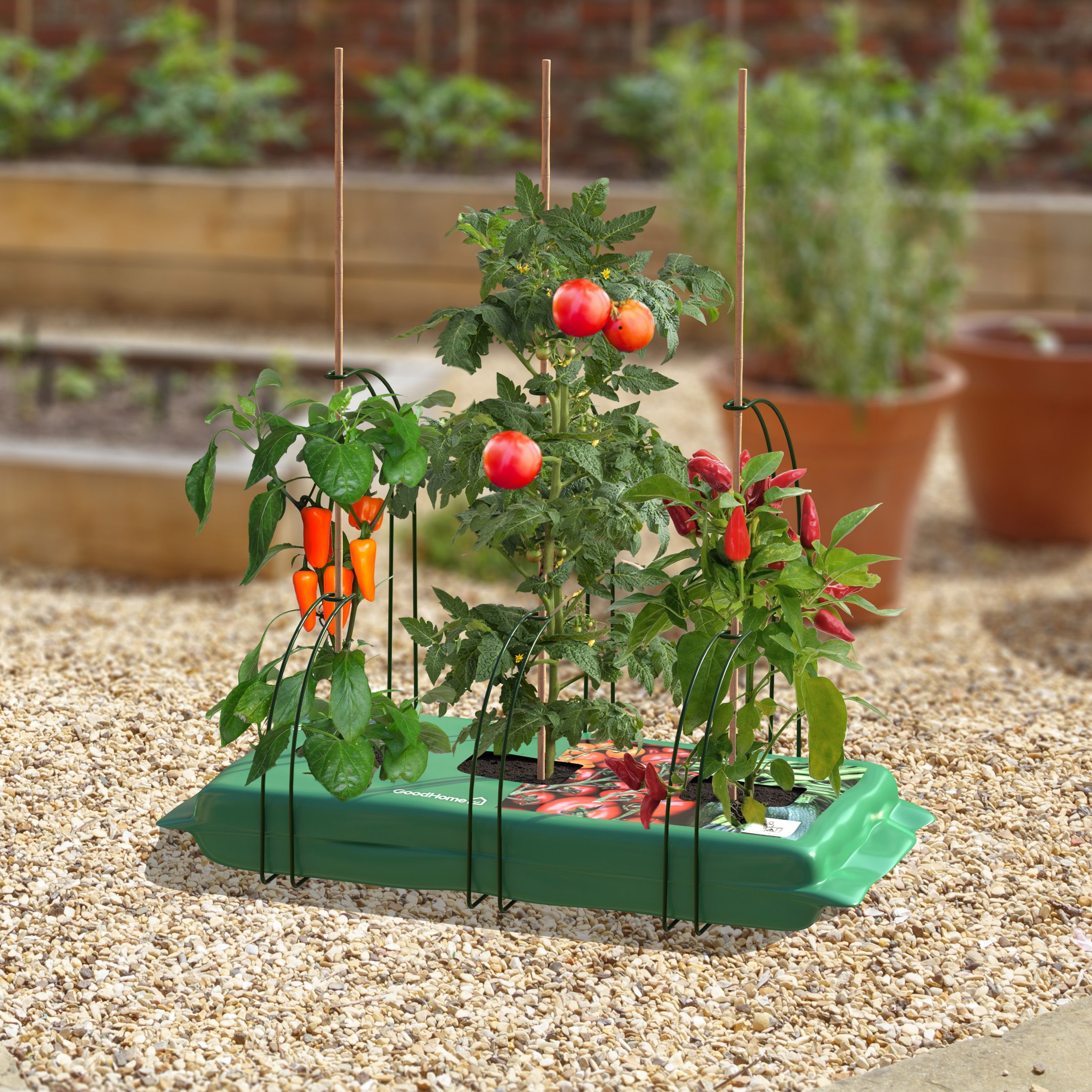 Panacea Steel Curved Plant support frame (L)47cm (Dia)35cm, Set of 3