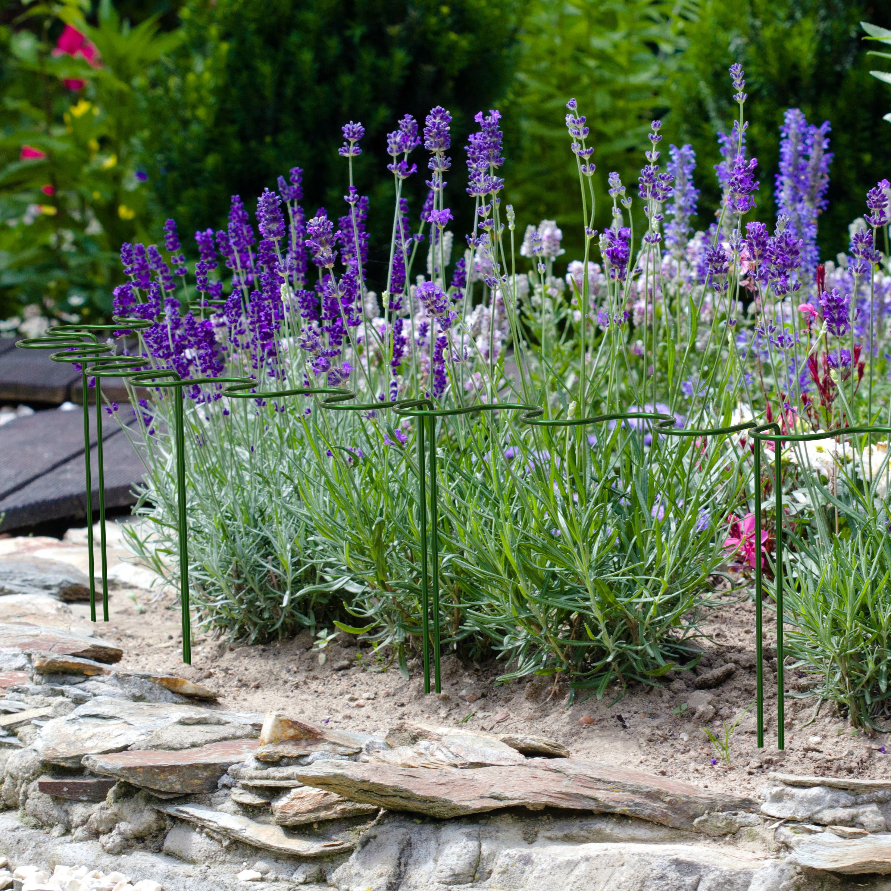 Panacea Steel Curved Plant support frame (L)60cm (Dia)33cm | DIY at B&Q