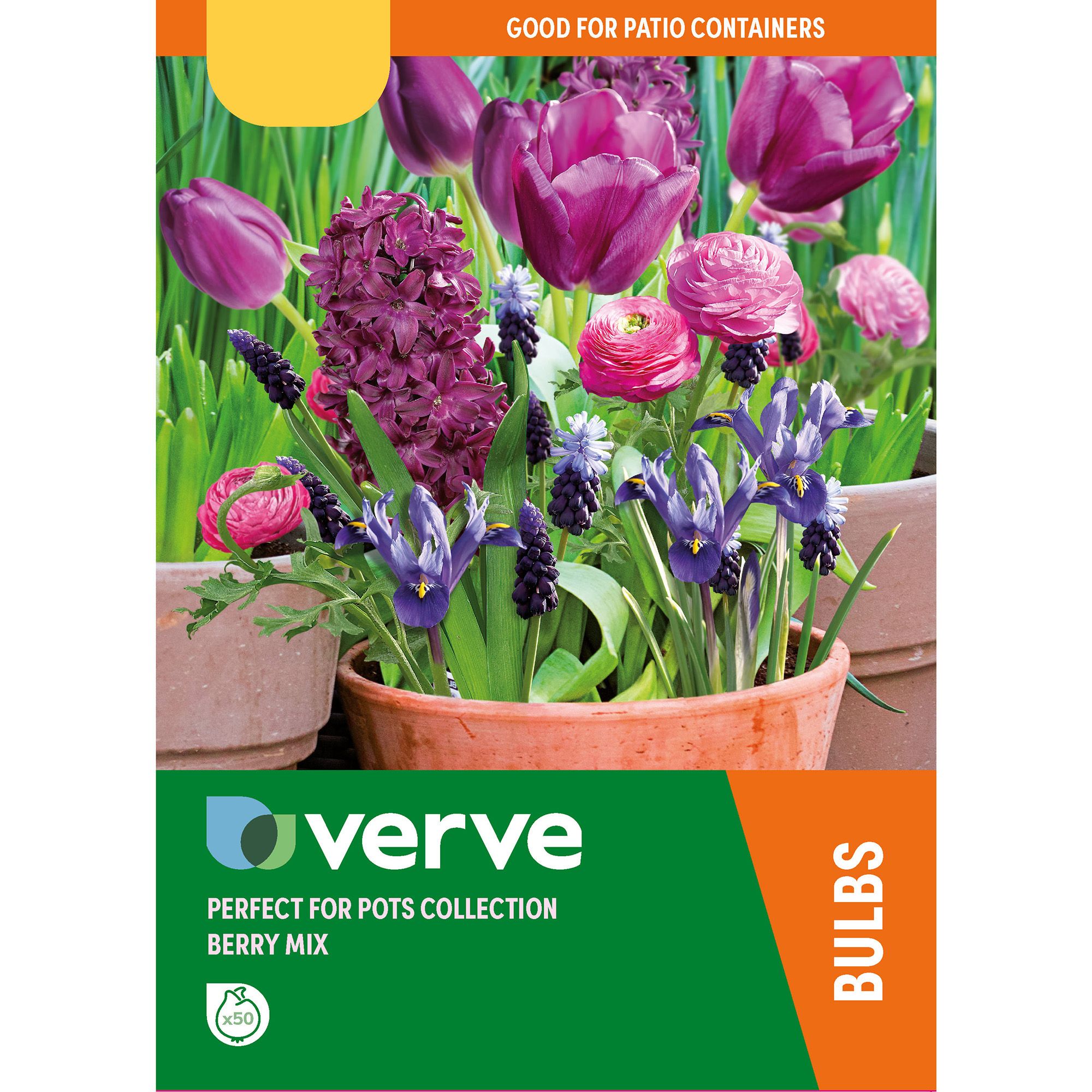 Perfect for pots collection berry mix 50 Flower bulbs