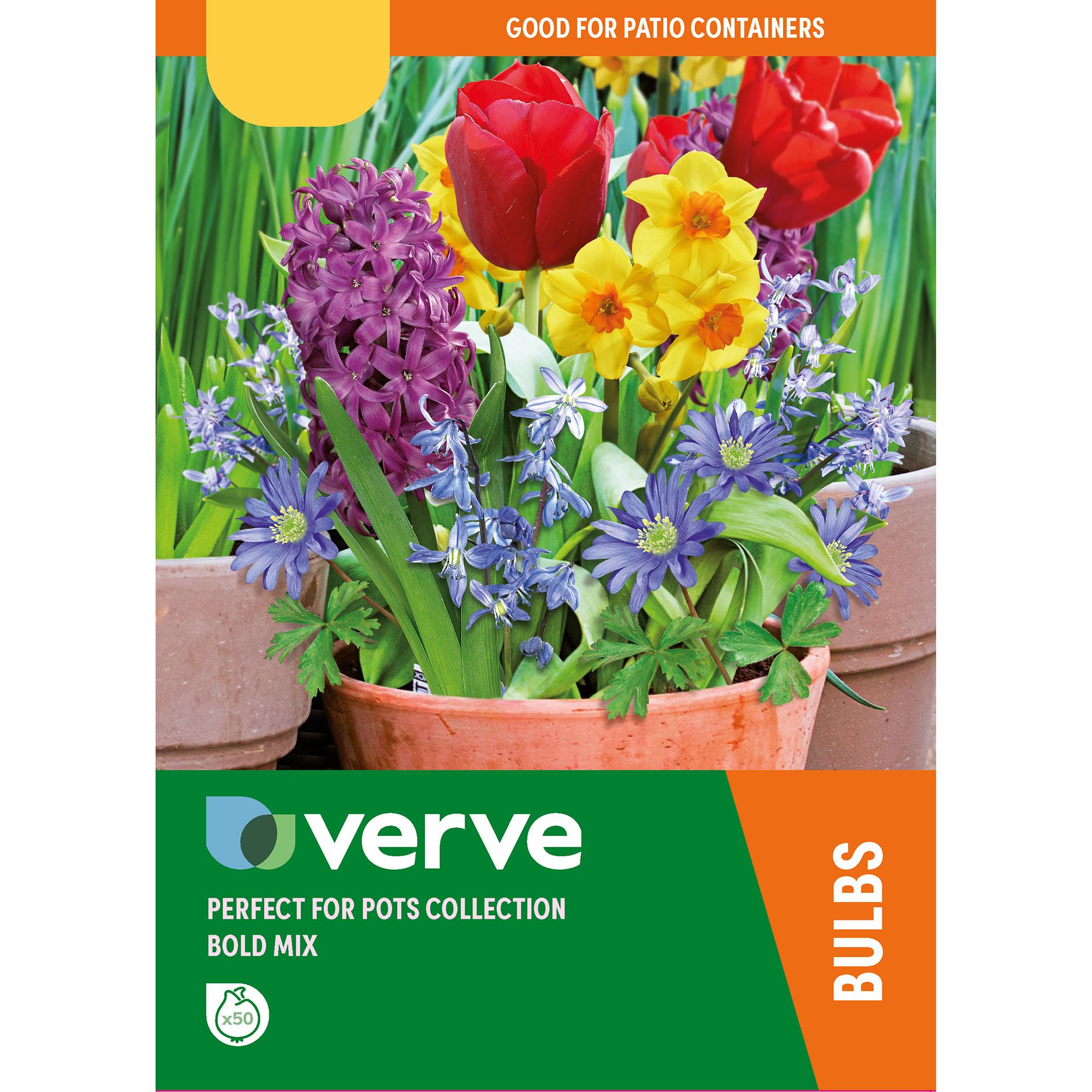 Perfect for pots collection bold mix 50 Flower bulbs