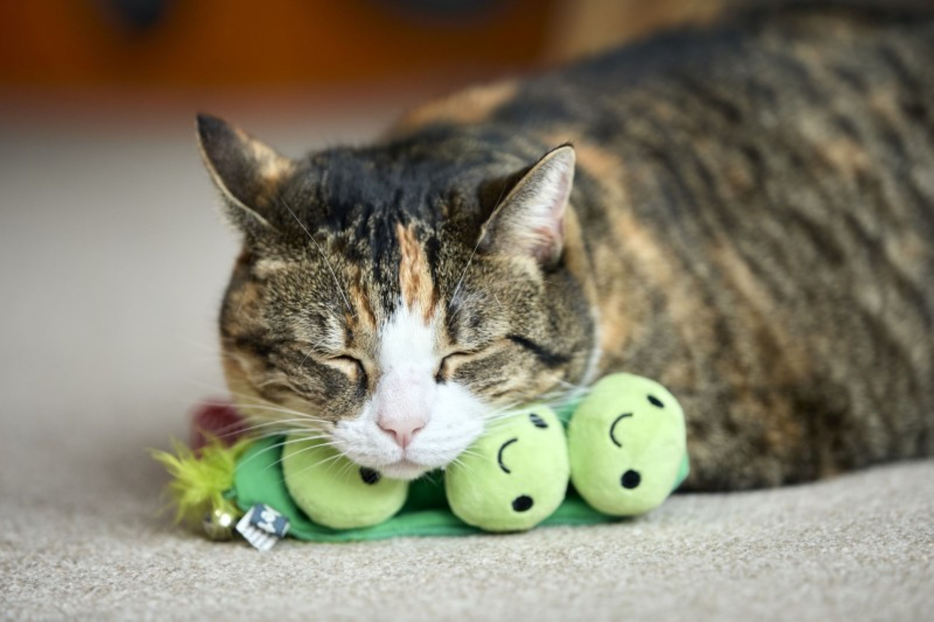 Petface Peas in a Pod Cat Toy