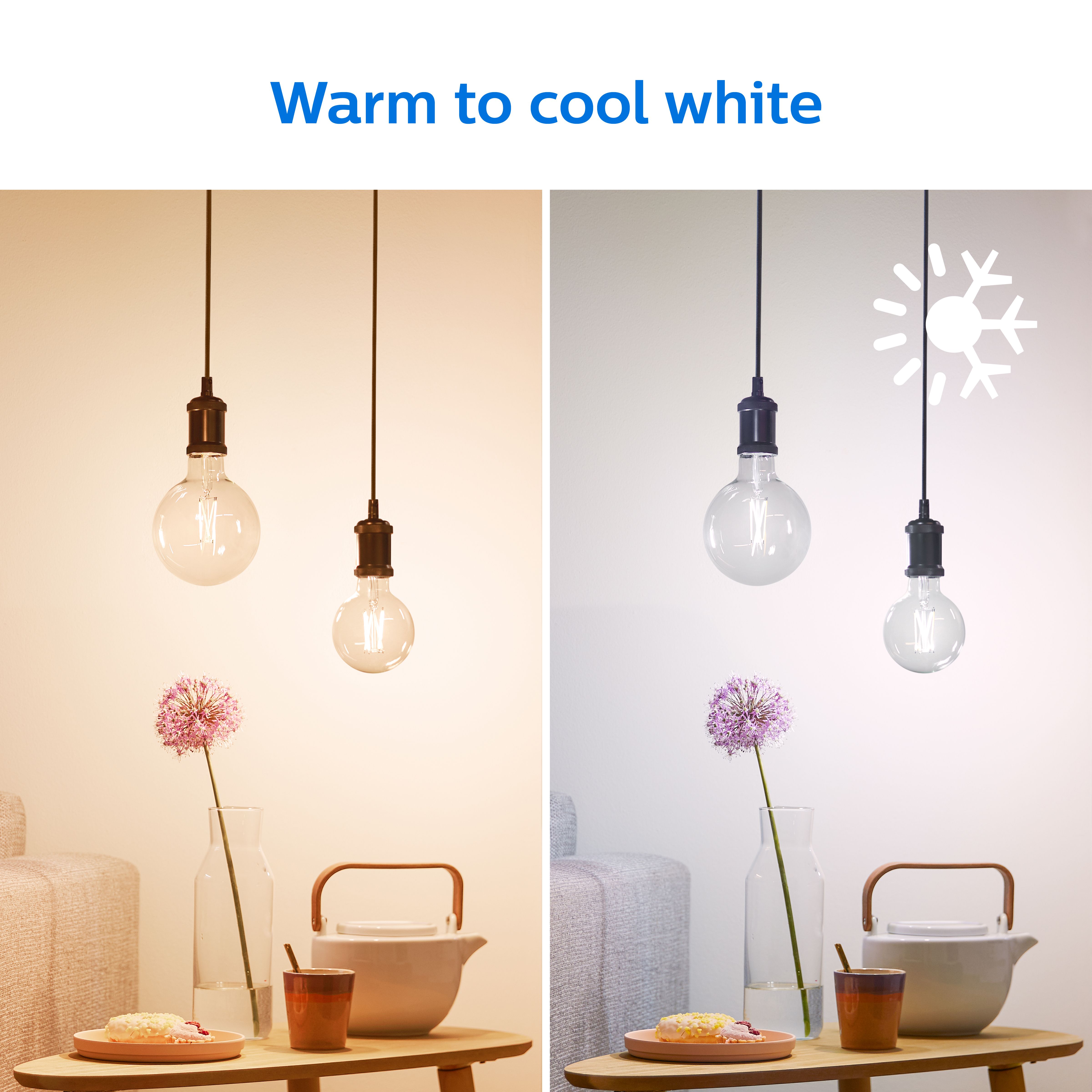 Philips WiZ E27 60W LED Cool white & warm white Globe Dimmable Light bulb