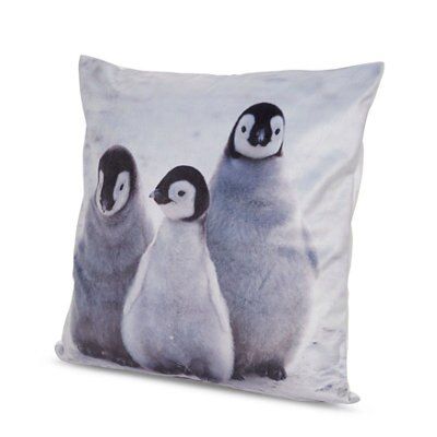 Photographic penguin Cushion | DIY at B&Q