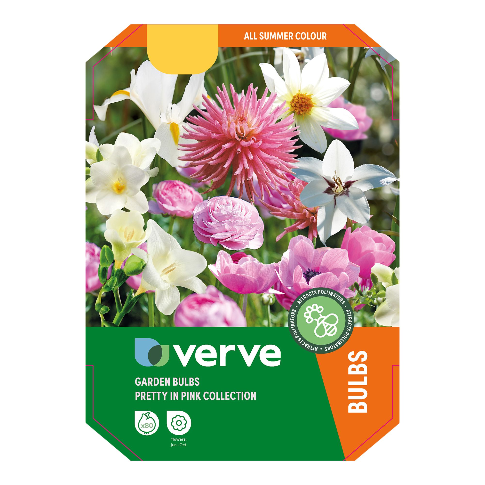 Pretty in pink Summer Bulbs collection 80 Flower bulbs