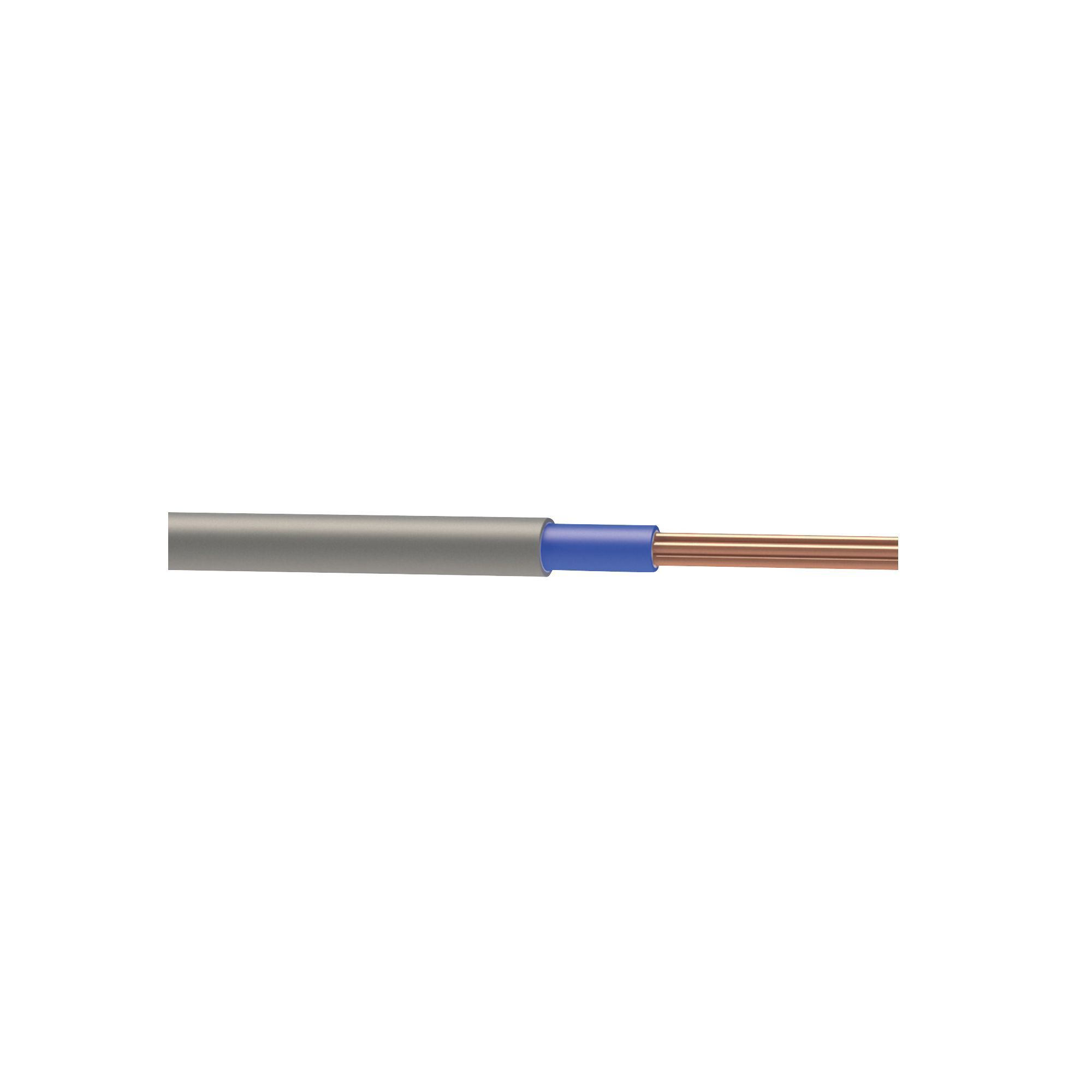 Prysmian 6181Y Blue & grey 1 core Meter tails 5m | DIY at B&Q