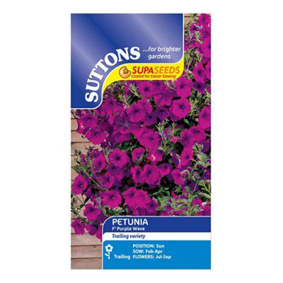Purple wave Petunia Seed | DIY at B&Q