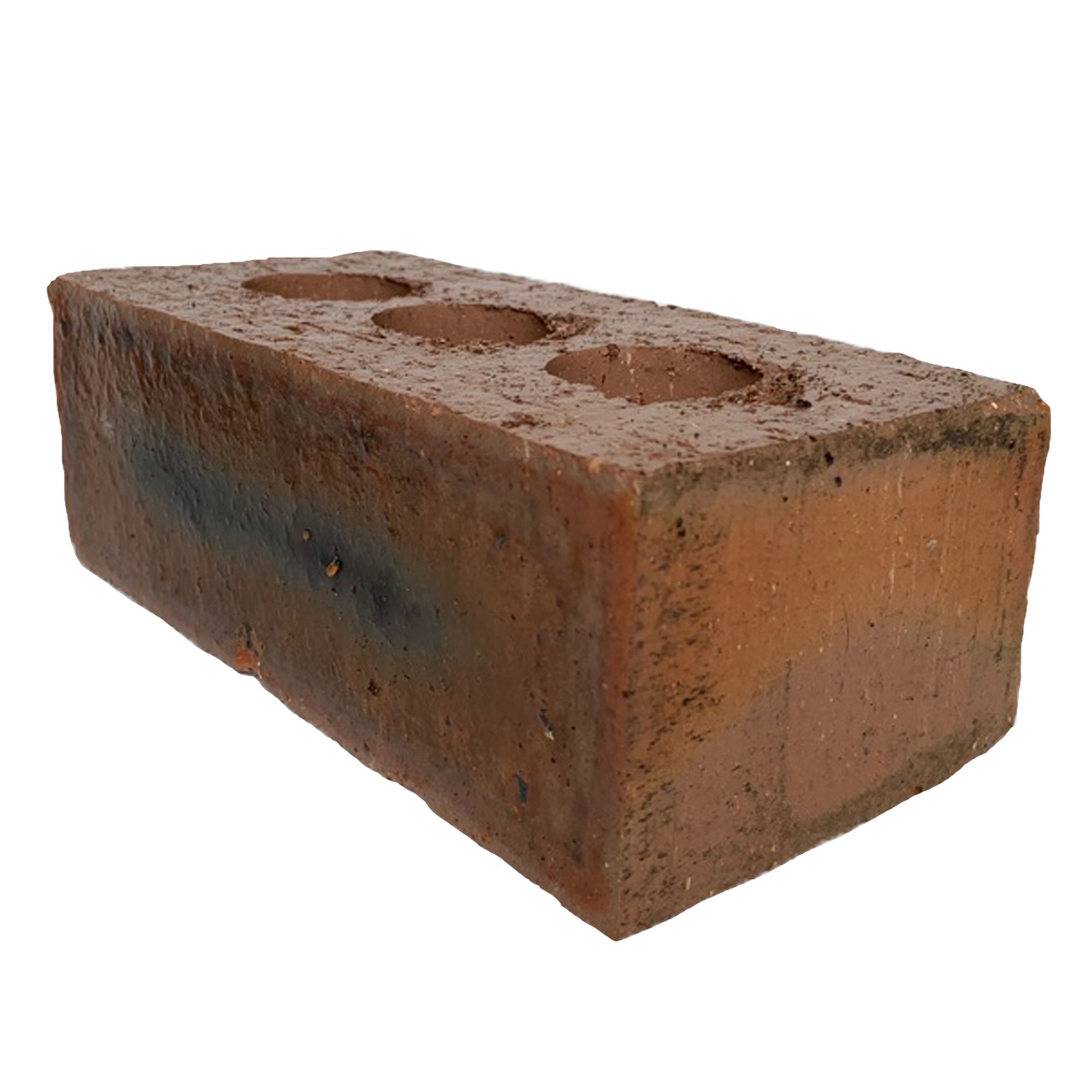 Raeburn Scotch Smooth Red Perforated Common brick (L)215mm (W)102.5mm ...