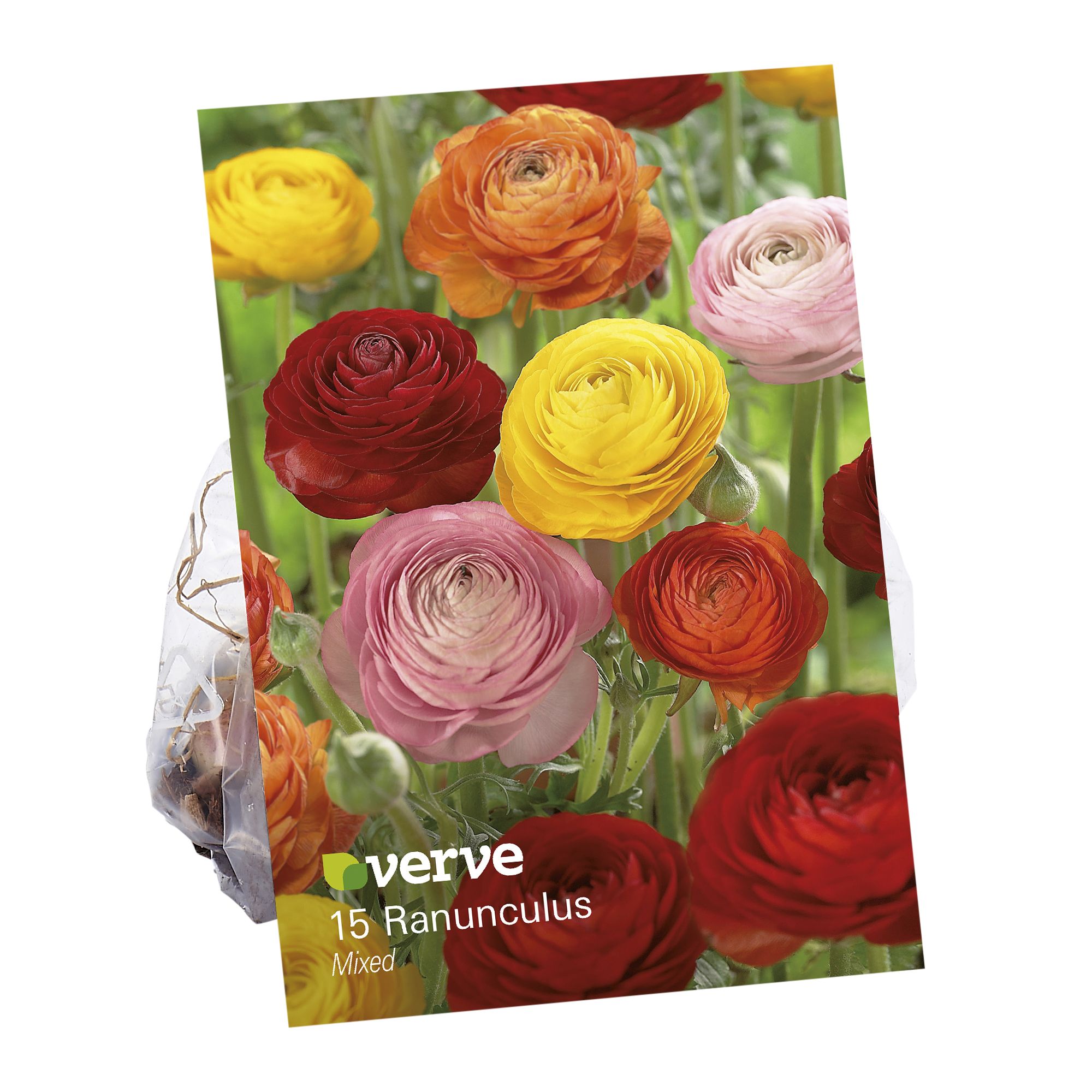 Ranunculus mixed 15 Flower bulbs