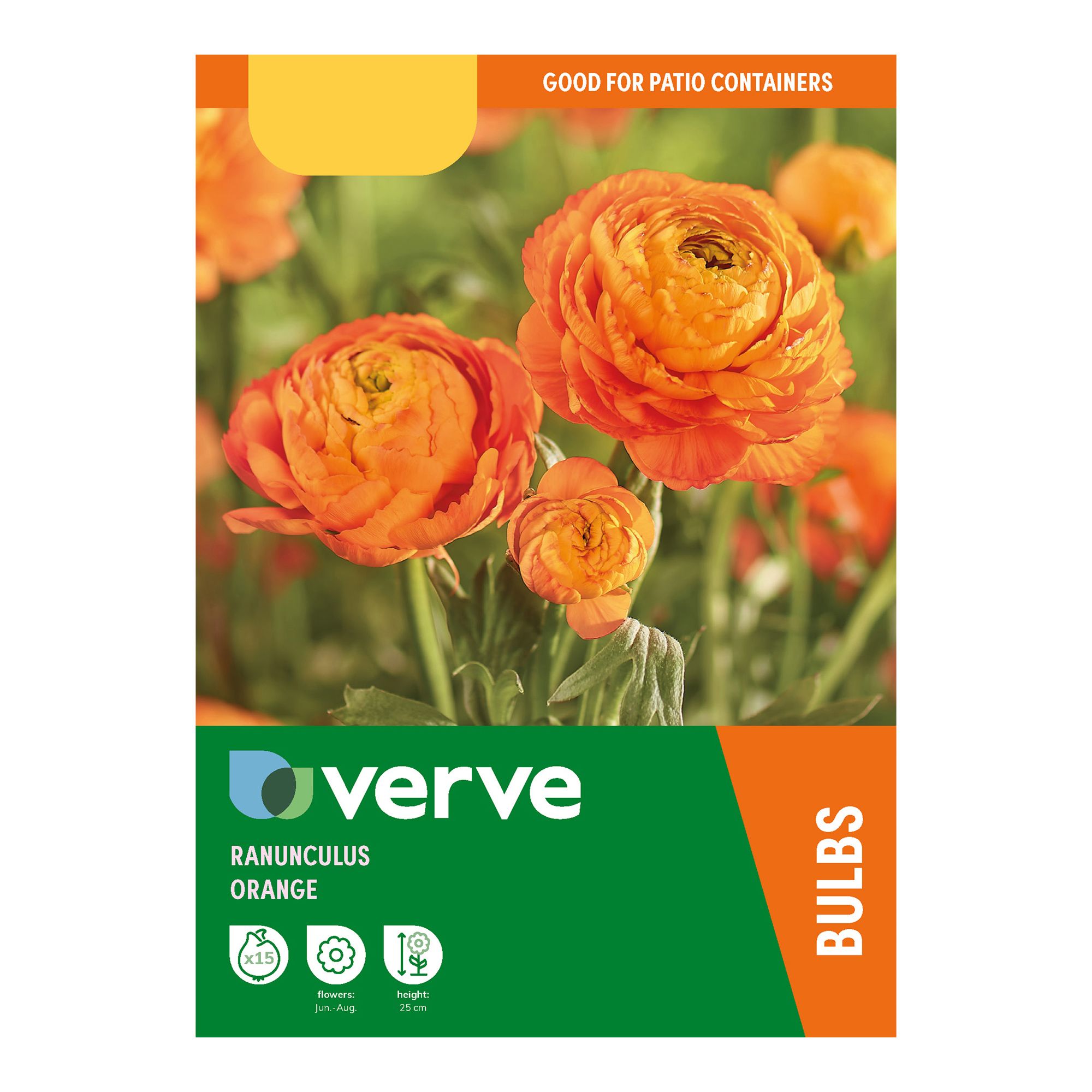 Ranunculus Orange 15 Flower bulbs
