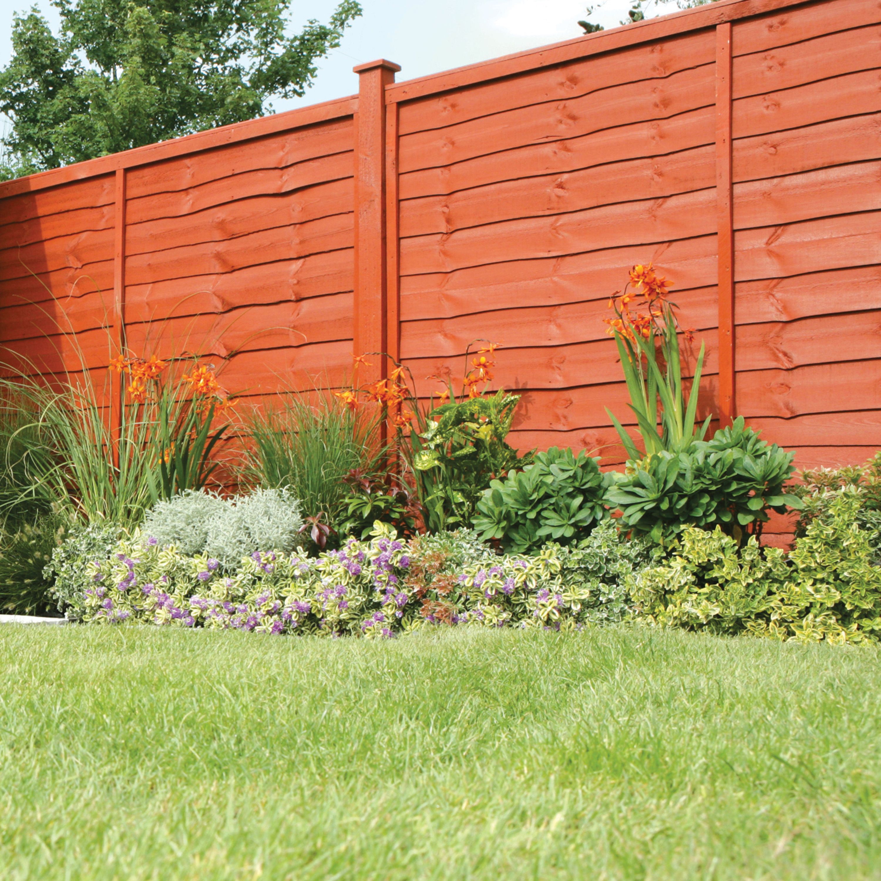 Ronseal 5 Year Fence Life+ Shed & Fence Protector Red cedar Matt Multi ...