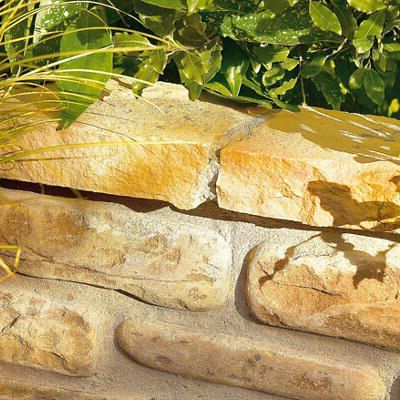 Sandstone Modac brown Coping stone, (L)450mm (W)160mm, Pack of 28