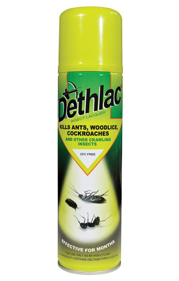 SKIP18C DETHLAC ANT & CRAWLING INSECT KI