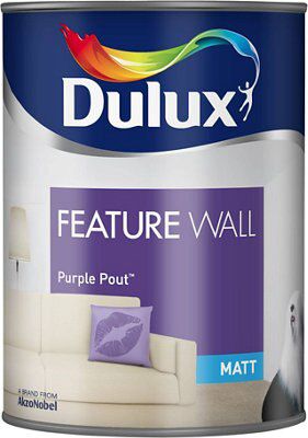 SKIP20A DULUX FEATURE WALLS PURPLE POUT