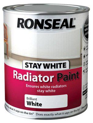 Buy SKIP20A RON RAD PAINT STAY WHITE S | DIY at B&Q