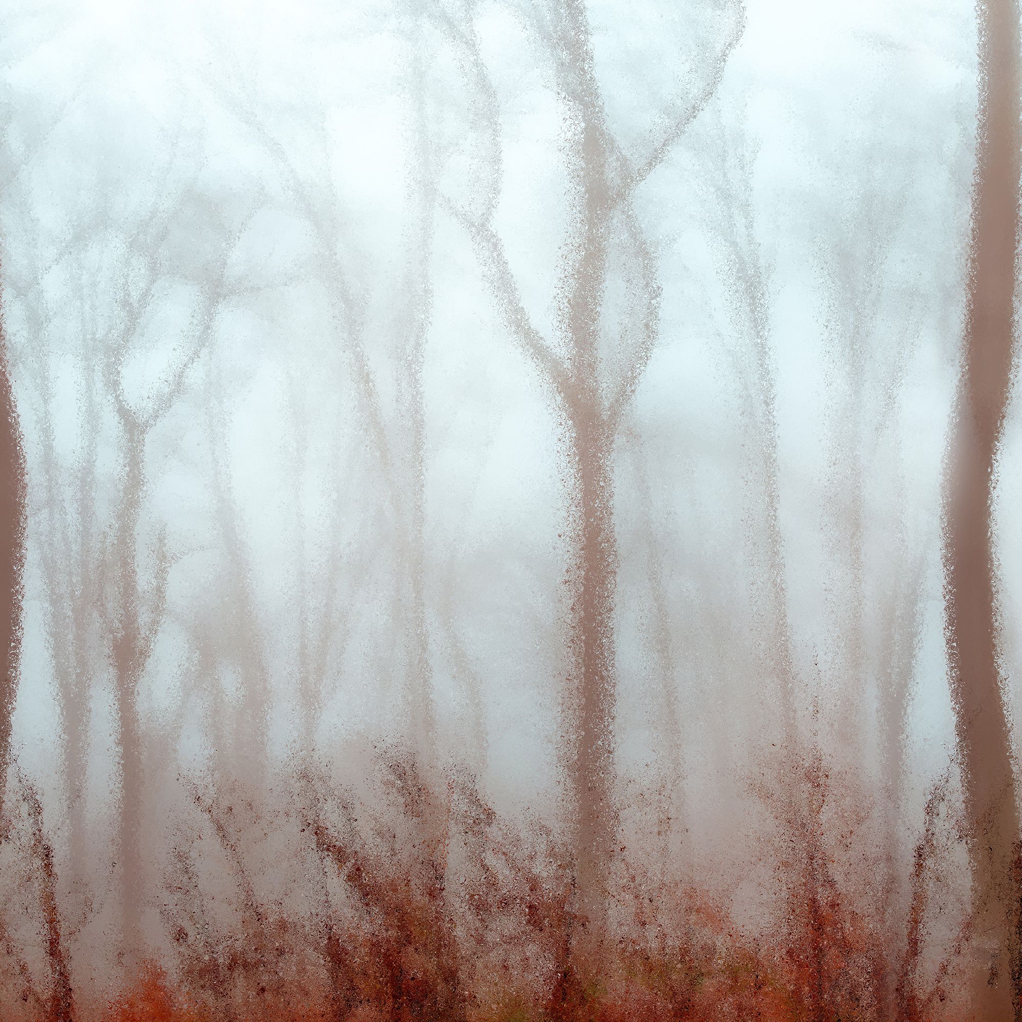 Splashwall Brown Winter forest MDF Splashback, (H)1220mm (W)2440mm (T)10mm