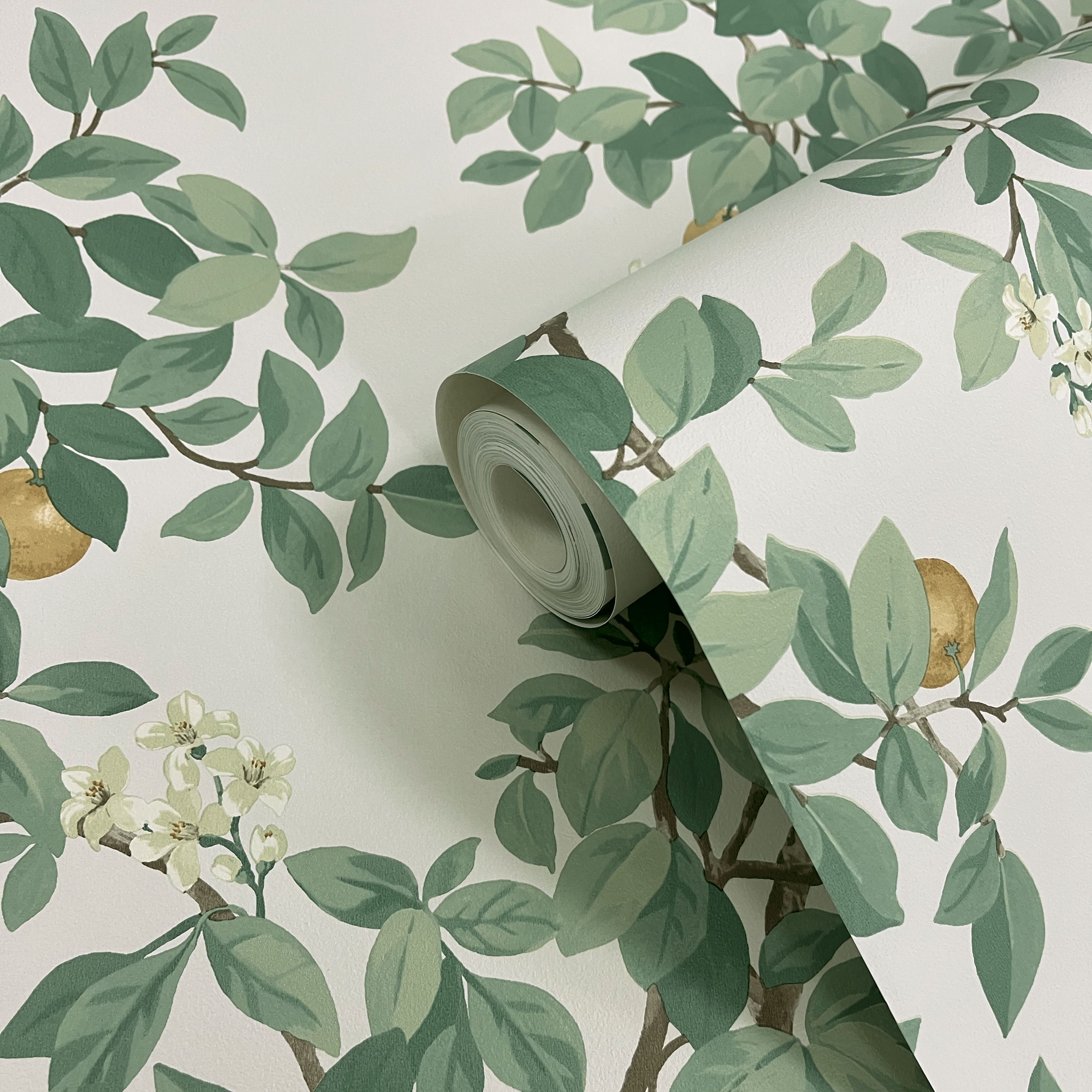 Statement Green & White Whisper Tree Smooth Wallpaper