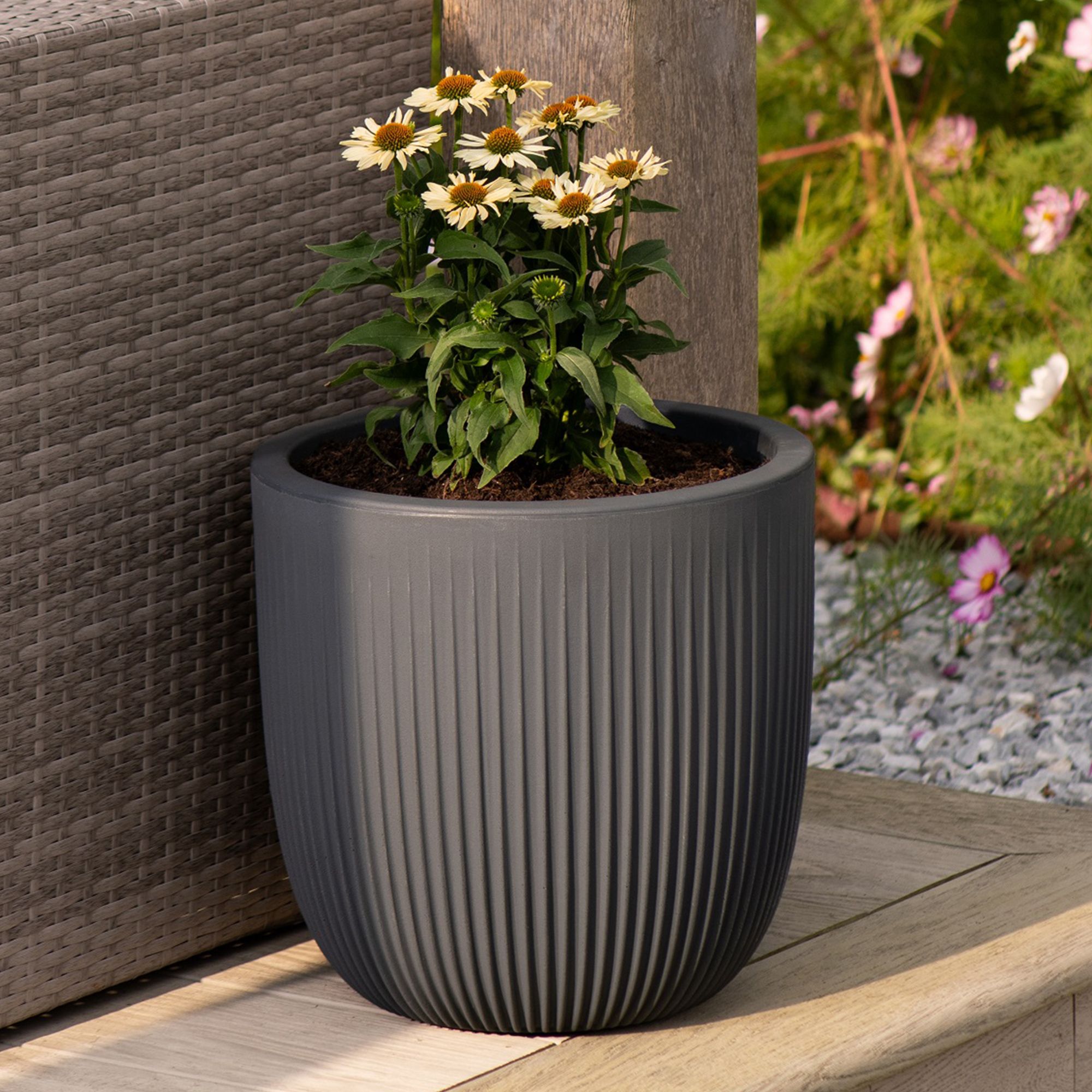 Strata Pacific Matt Cappuccino Plastic Plant pot (Dia) 35cm, (H)34.5cm