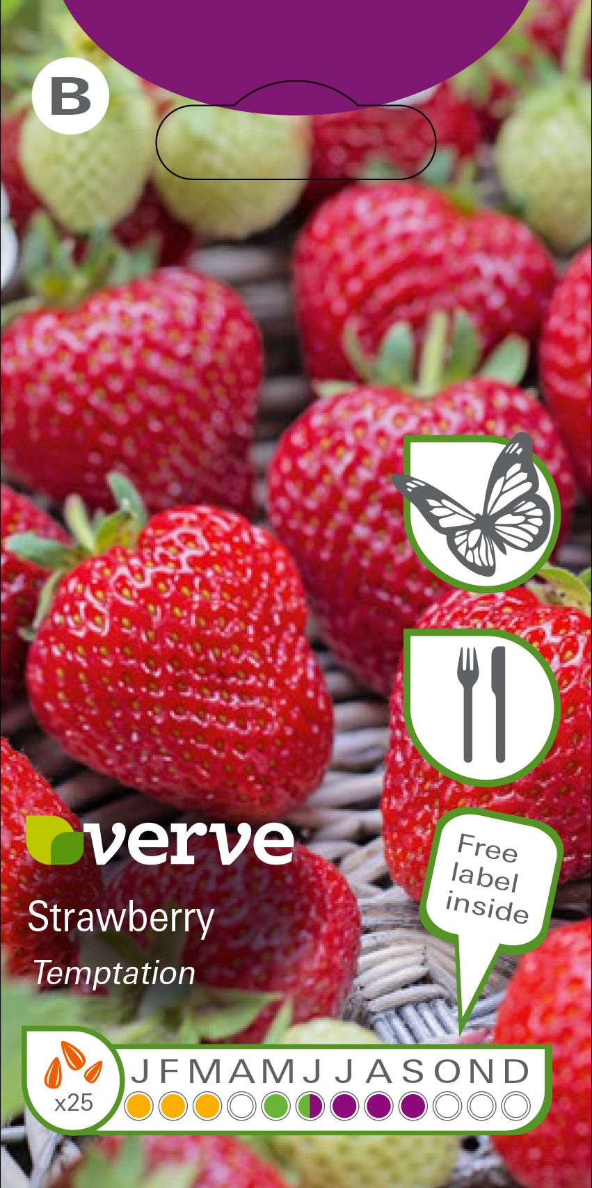 Strawberry temptation Seed | DIY at B&Q