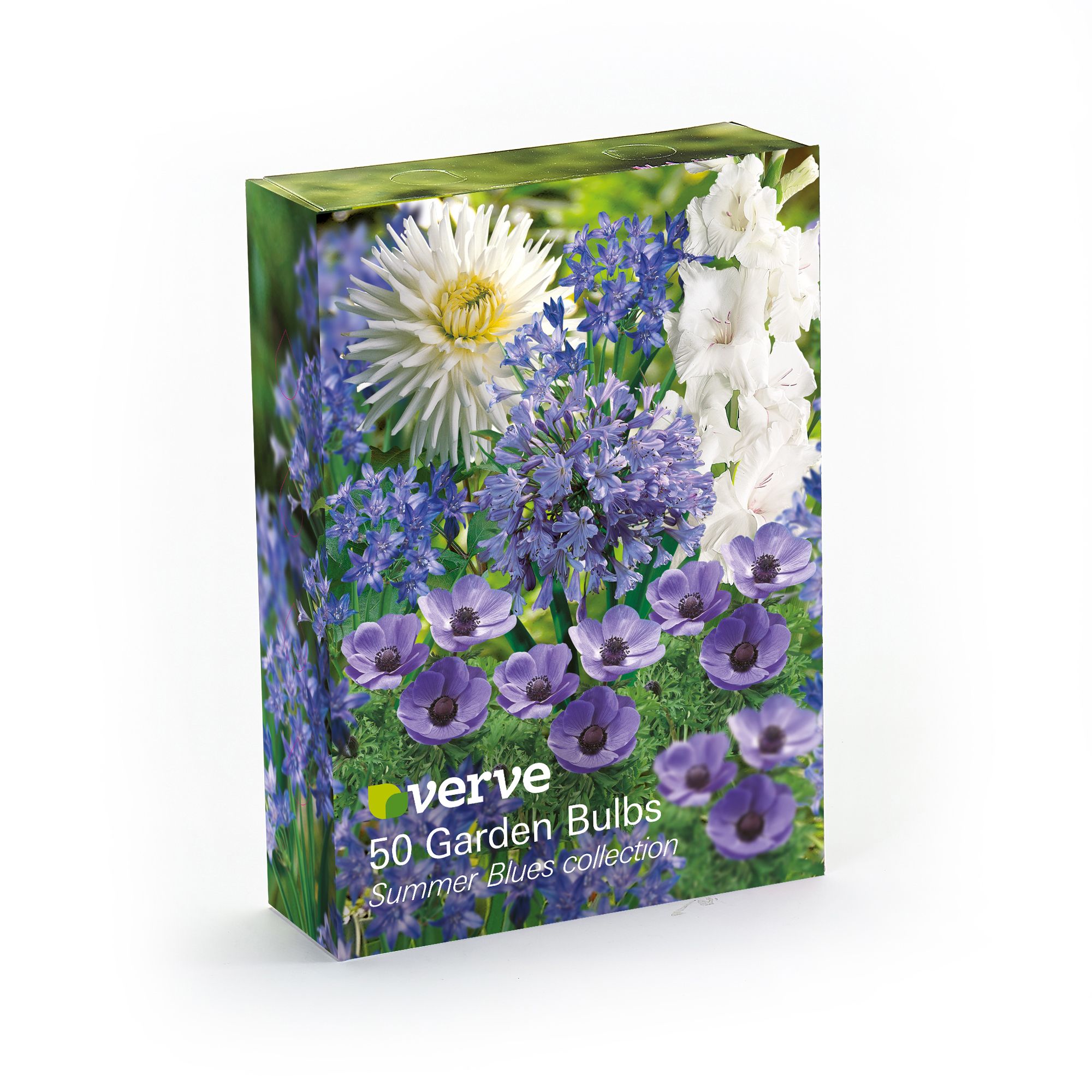 Summer blues collection 50 Flower bulbs