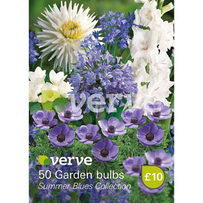 Summer Blues Flower bulb | DIY at B&Q