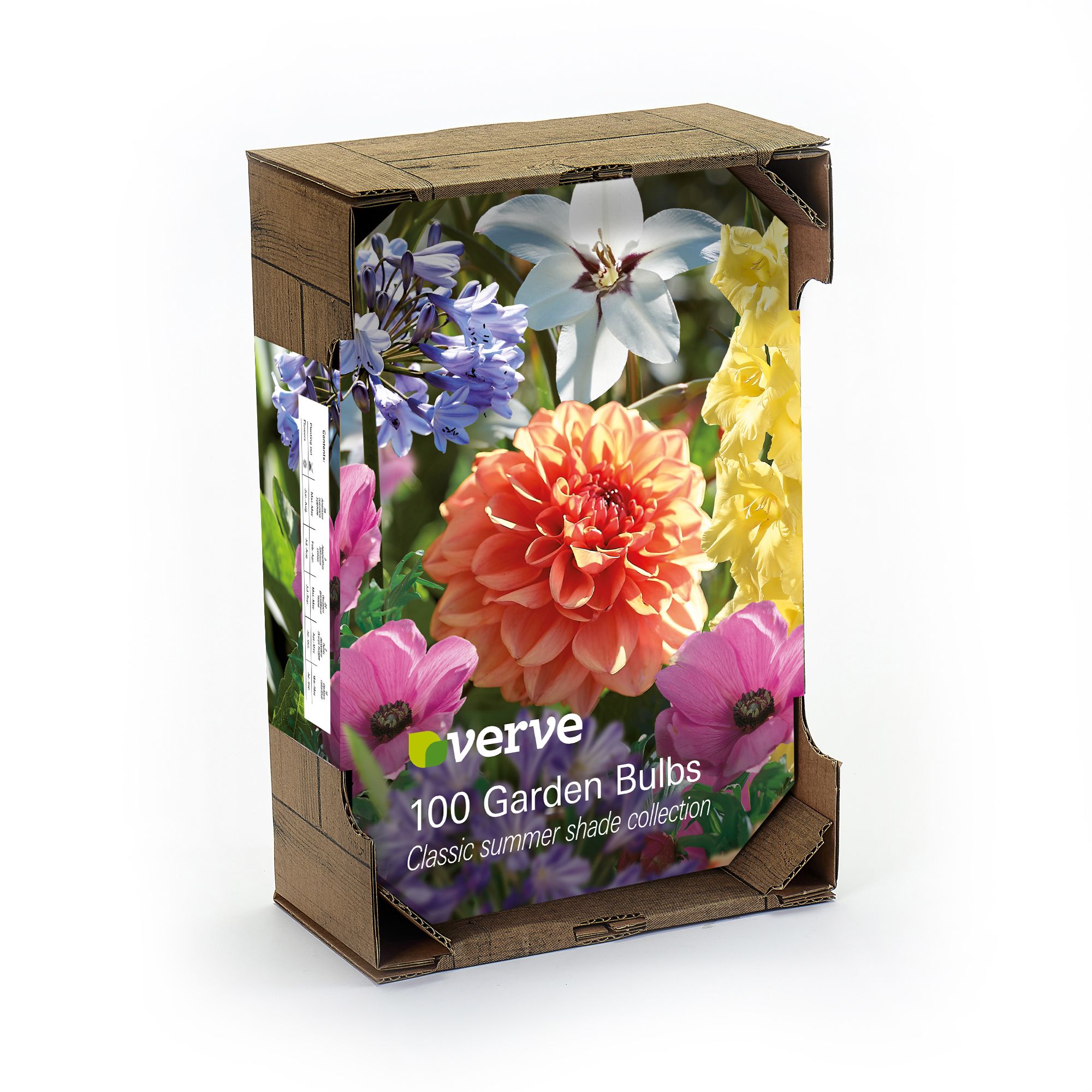 Summer shades crate collection 100 Flower bulbs