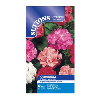 Super hybrid Geranium Seed | DIY at B&Q