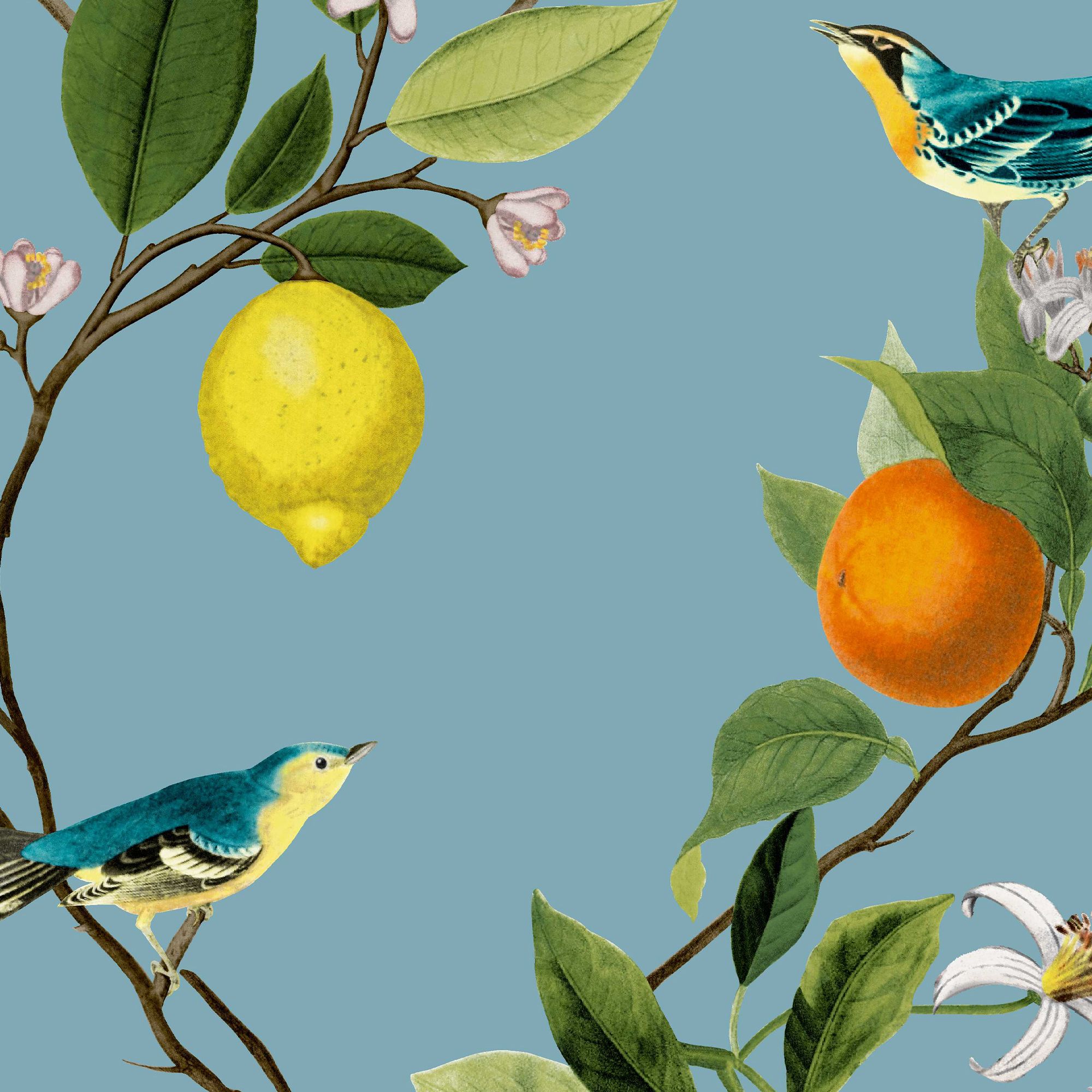 Superfresco Easy Blue Trail Smooth Wallpaper Sample