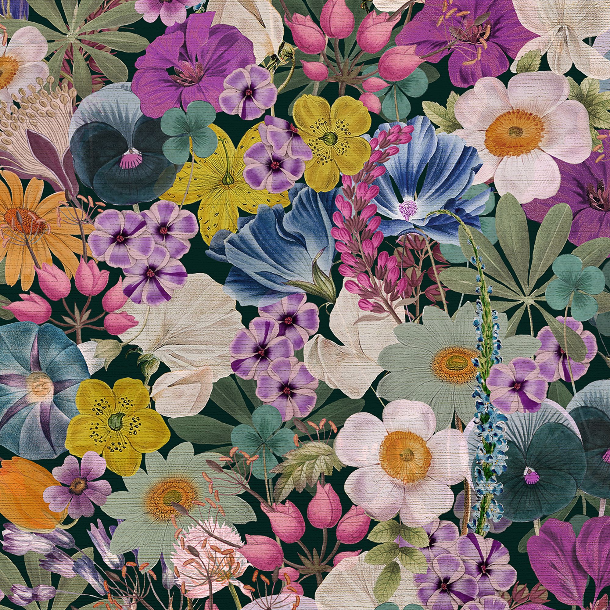 Superfresco Easy Dark Flowerbed Patterned Smooth Wallpaper