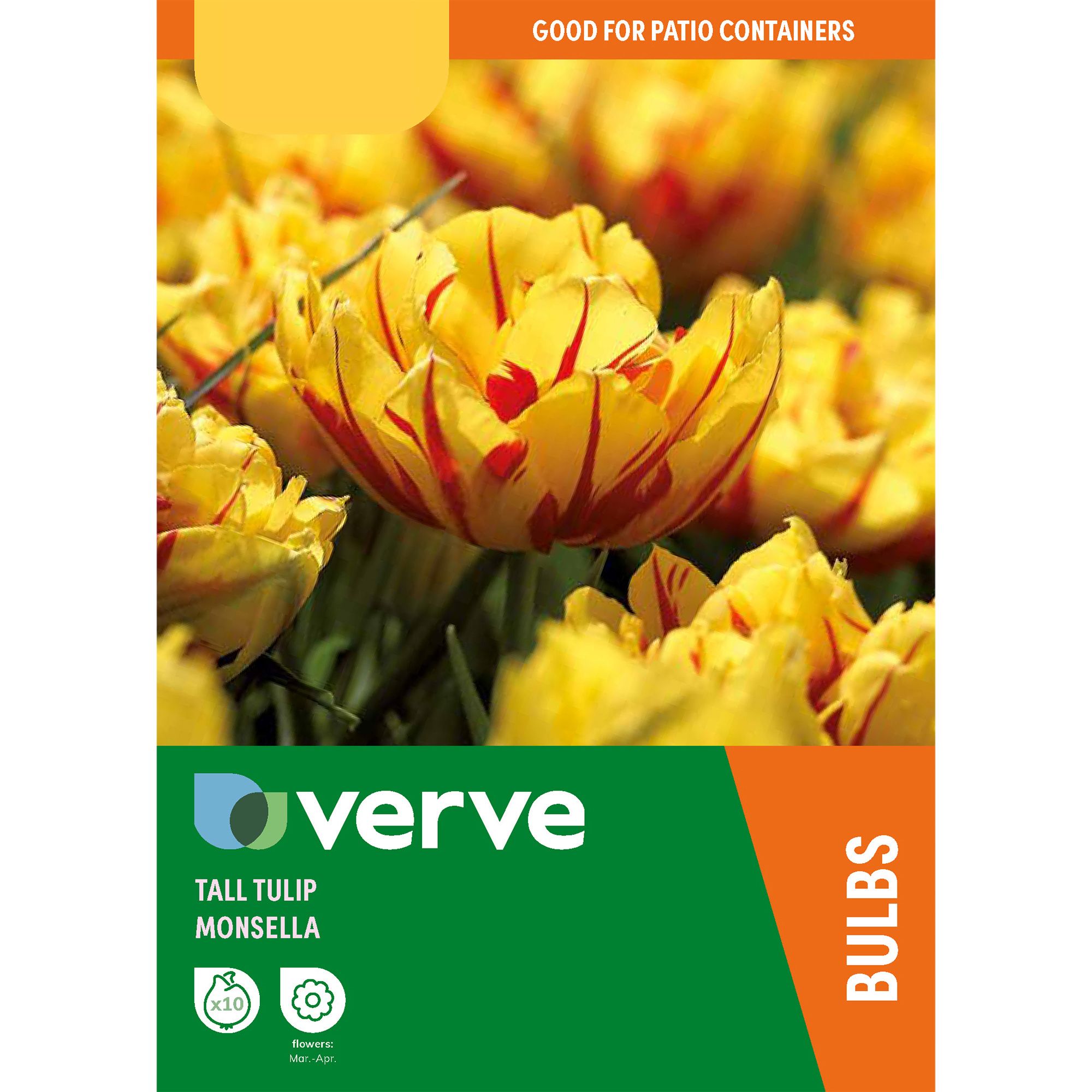Tall Tulip Double Yellow Red Monsella 10 Flower bulbs