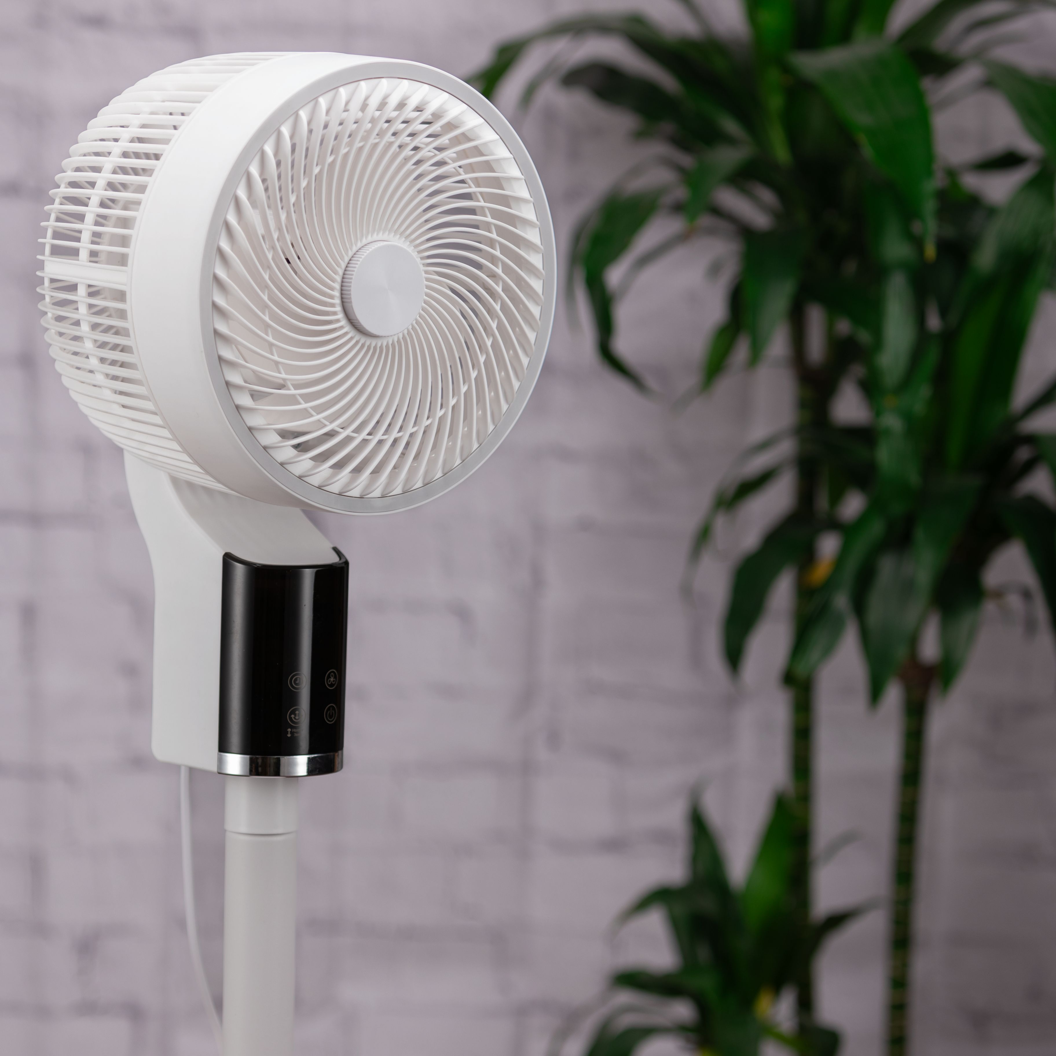 TCP WHITE 10" PEDESTAL FAN WITH ADJUSTABLE HEIGHT