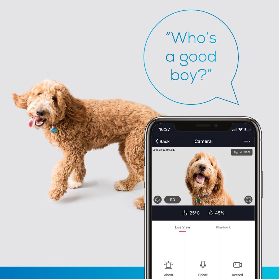 TCP Wired Indoor Smart IP camera - White