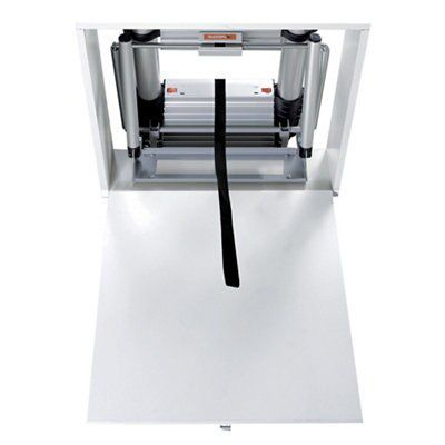 Telesteps 9 tread Telescopic Ladder