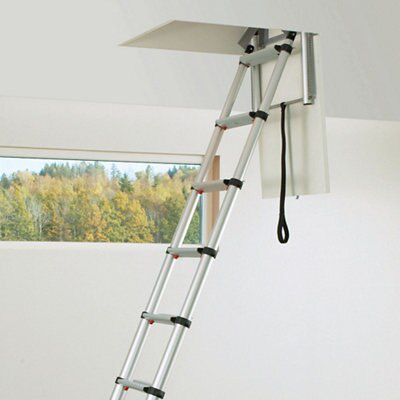 Telesteps 9 tread Telescopic Ladder