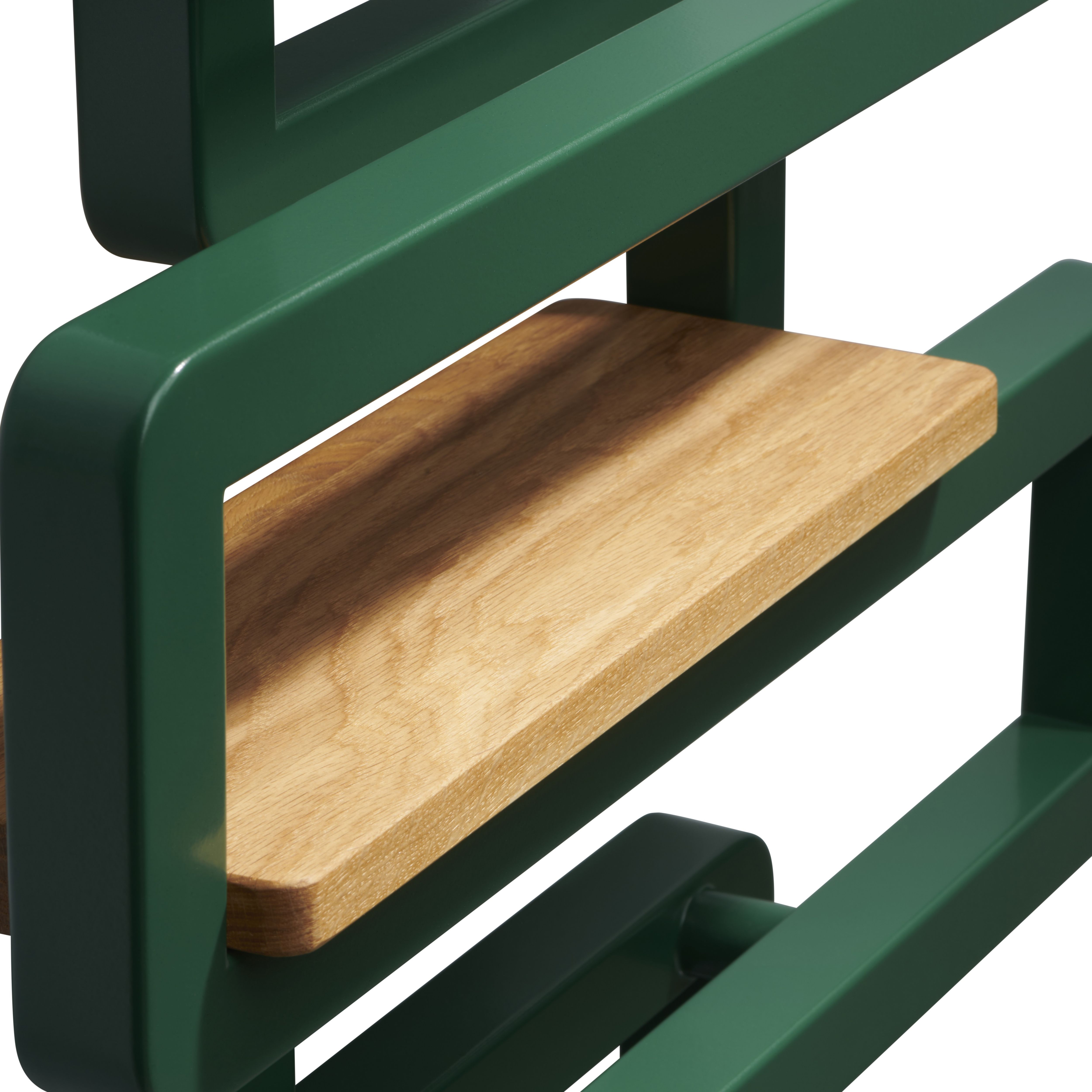 Terma Bookie Green 2110BTU Vertical Towel radiator (W)500mm x (H)1155mm ...