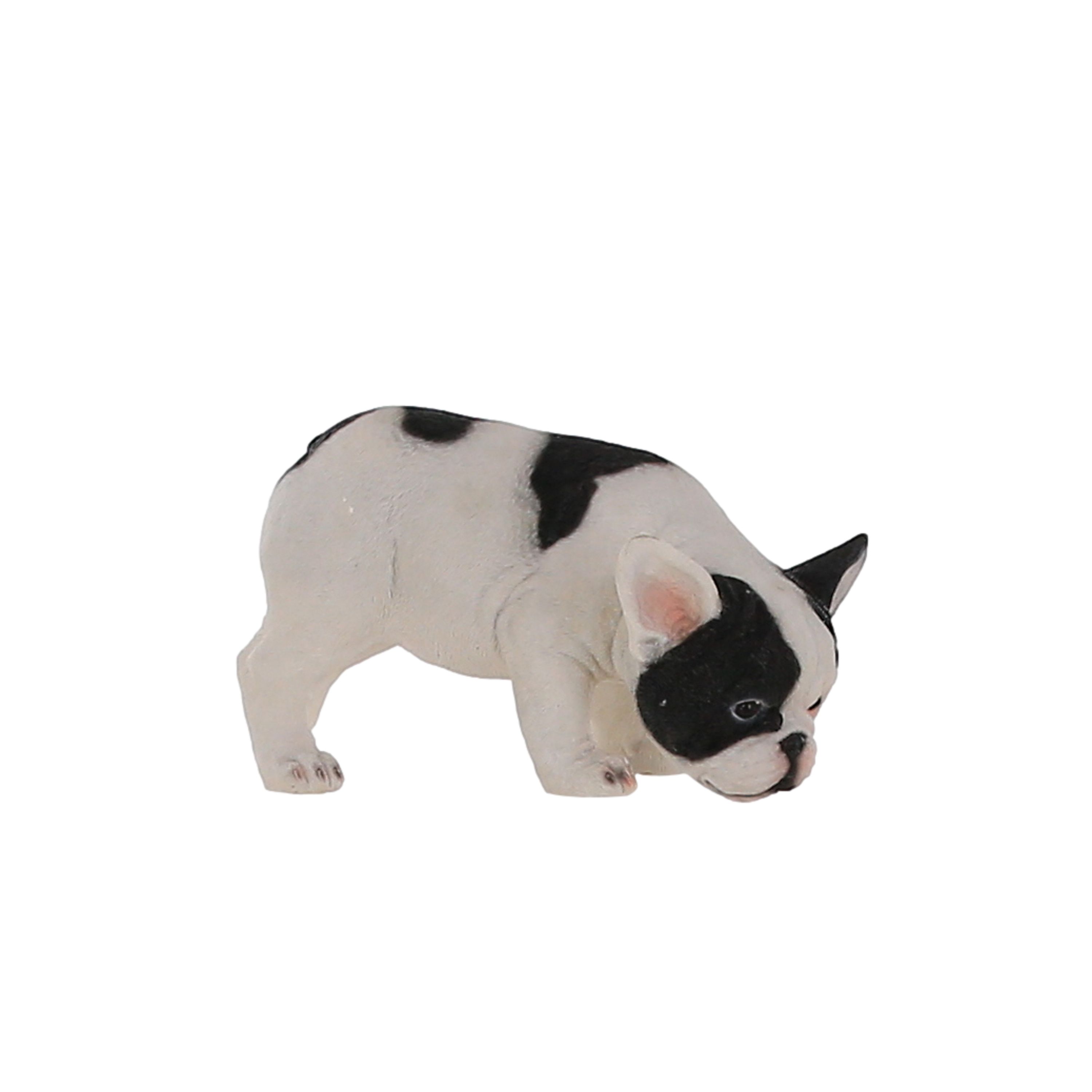 Terrastyle White, Black Resin Bulldog Garden ornament (H)16cm (W)15.2cm