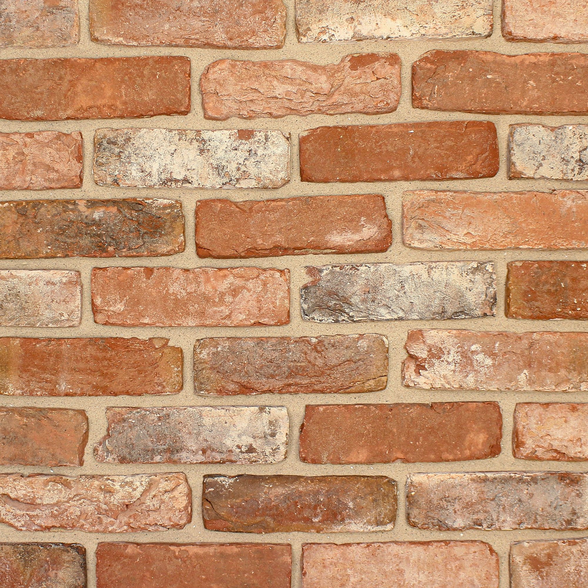 The Brick Tile Company Reclaimed Tumbled Red Brick slip (L)215mm (W ...