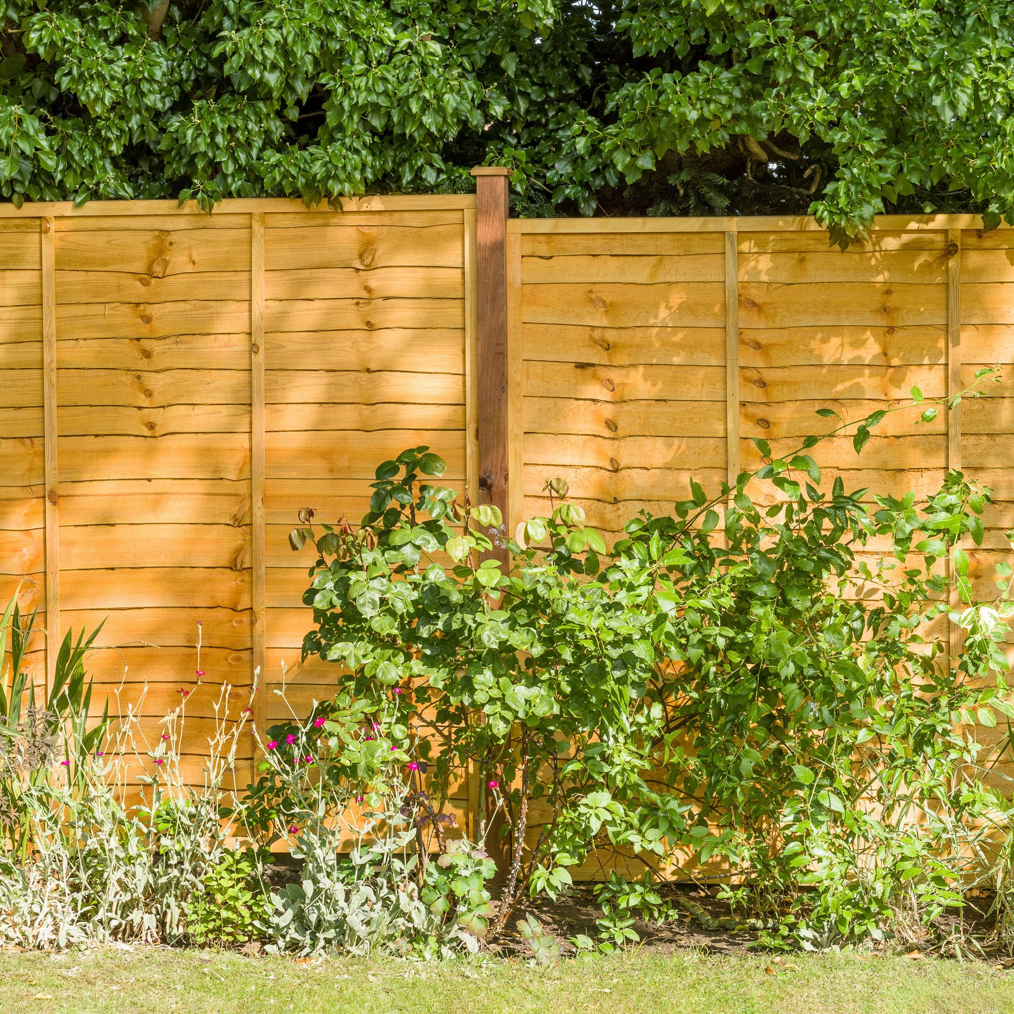 Traditional Lap Pressure treated 6ft Wooden Fence panel (W)1.83m (H)1.8m