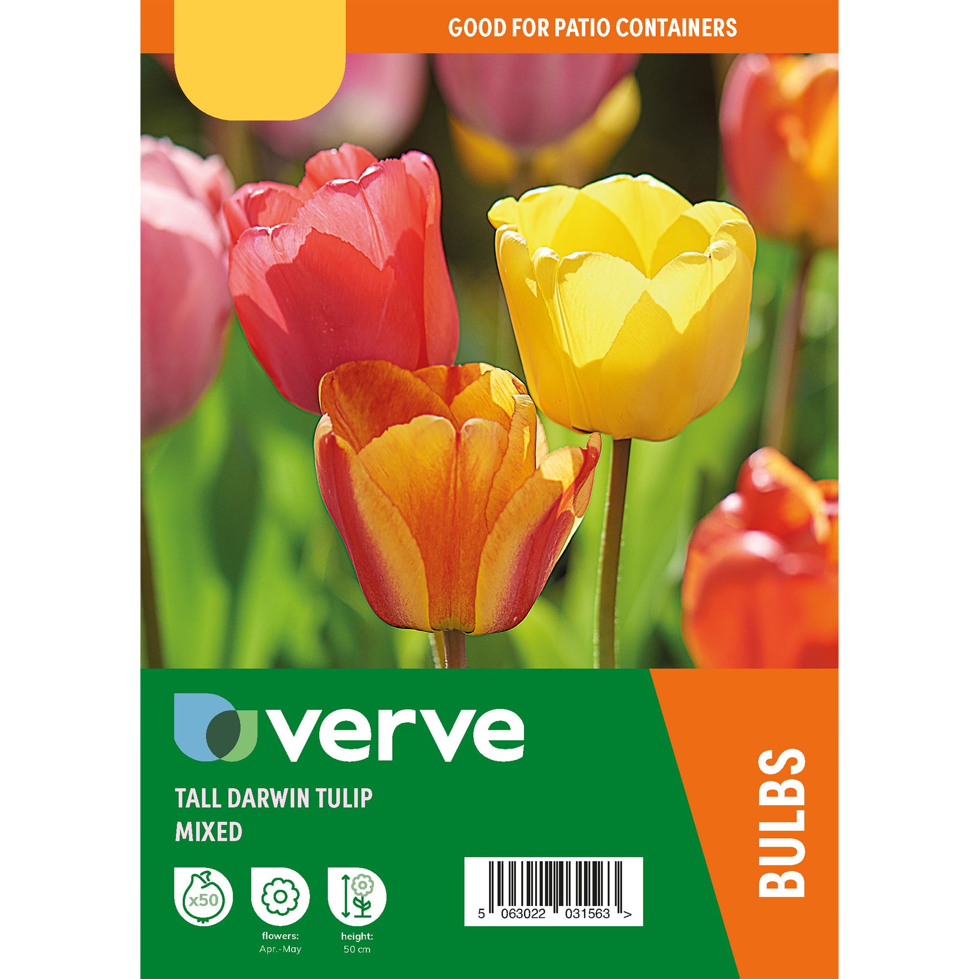 Tulip Darwin Mix 50 Flower bulbs at B&Q