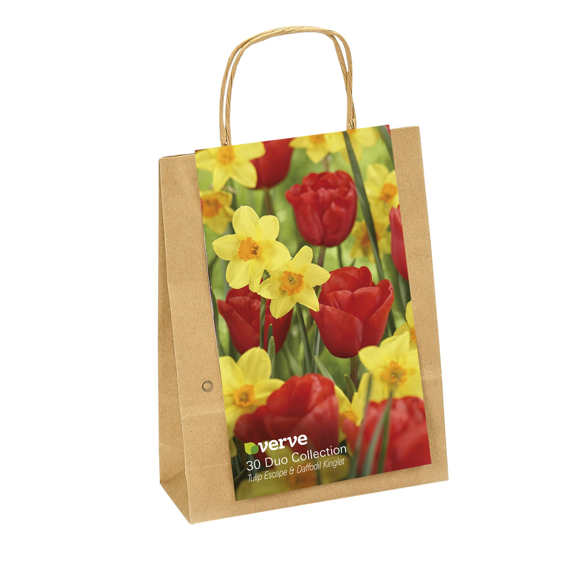 Tulip Escape & Daffodil Kinglet 30 Flower bulbs