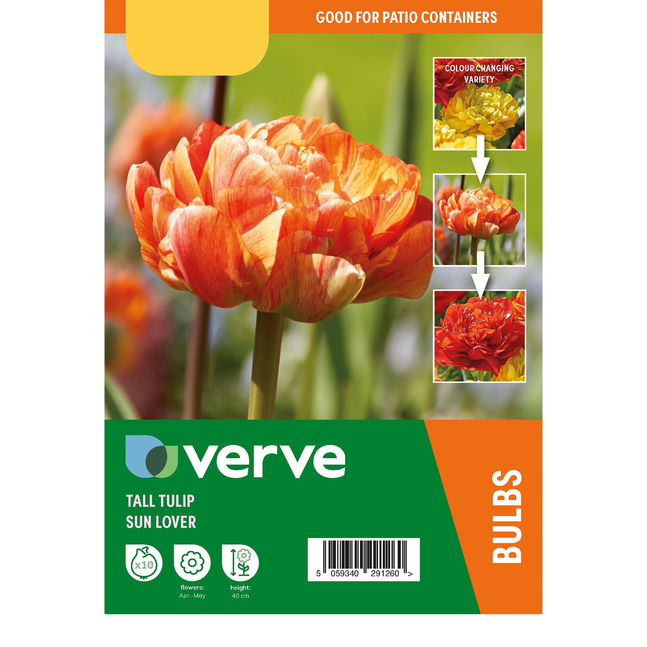 Tulip Sun Lover 10 Flower bulbs | DIY at B&Q