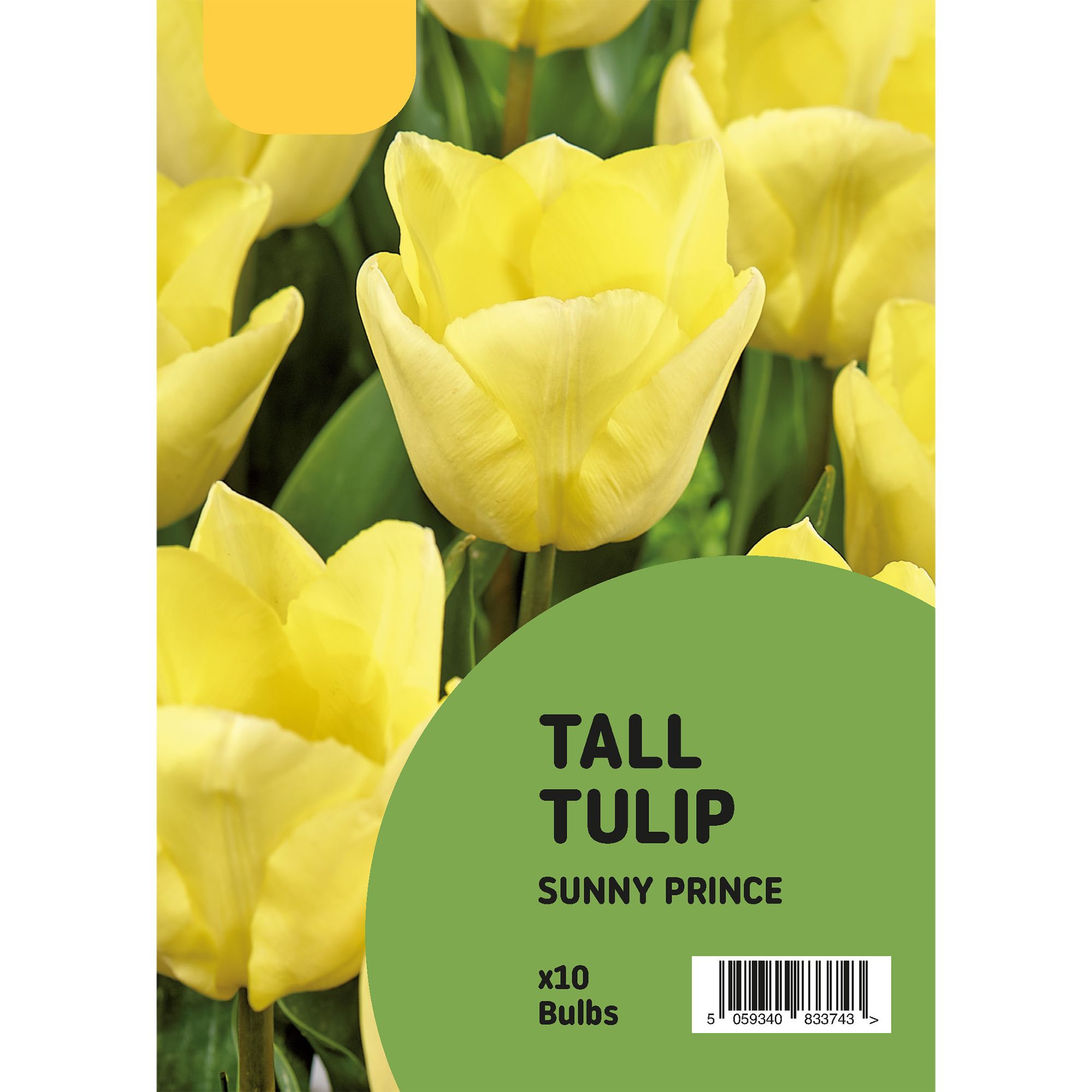 Tulip Sunny Prince Yellow Flower bulb 0 | DIY at B&Q