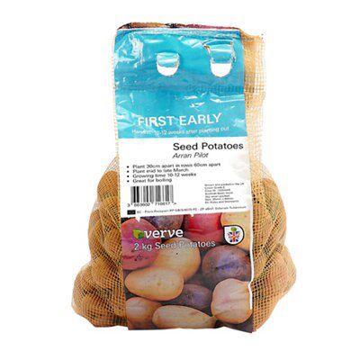 Verve Arran pilot Potato | DIY at B&Q