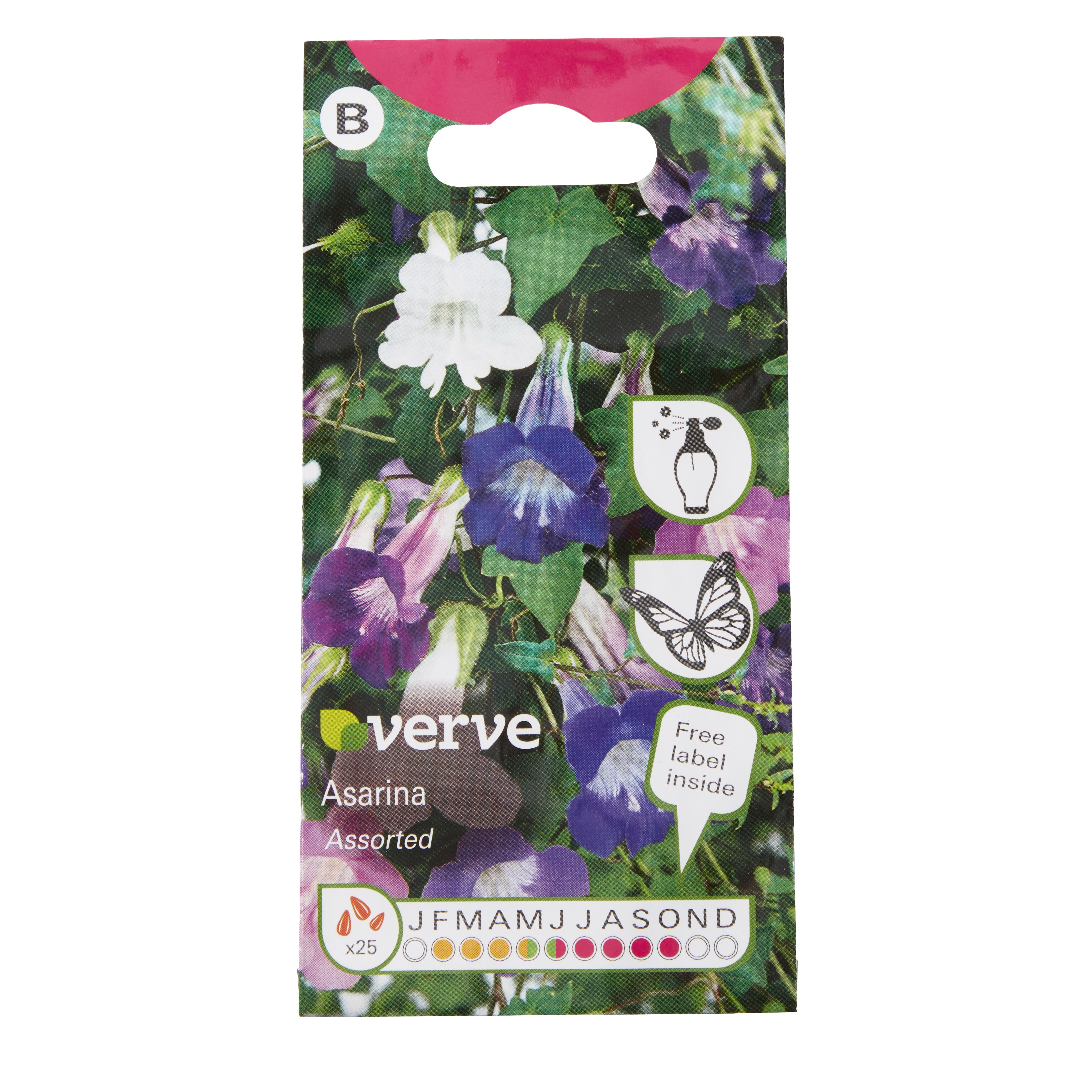 Verve Asarina Seeds | DIY at B&Q