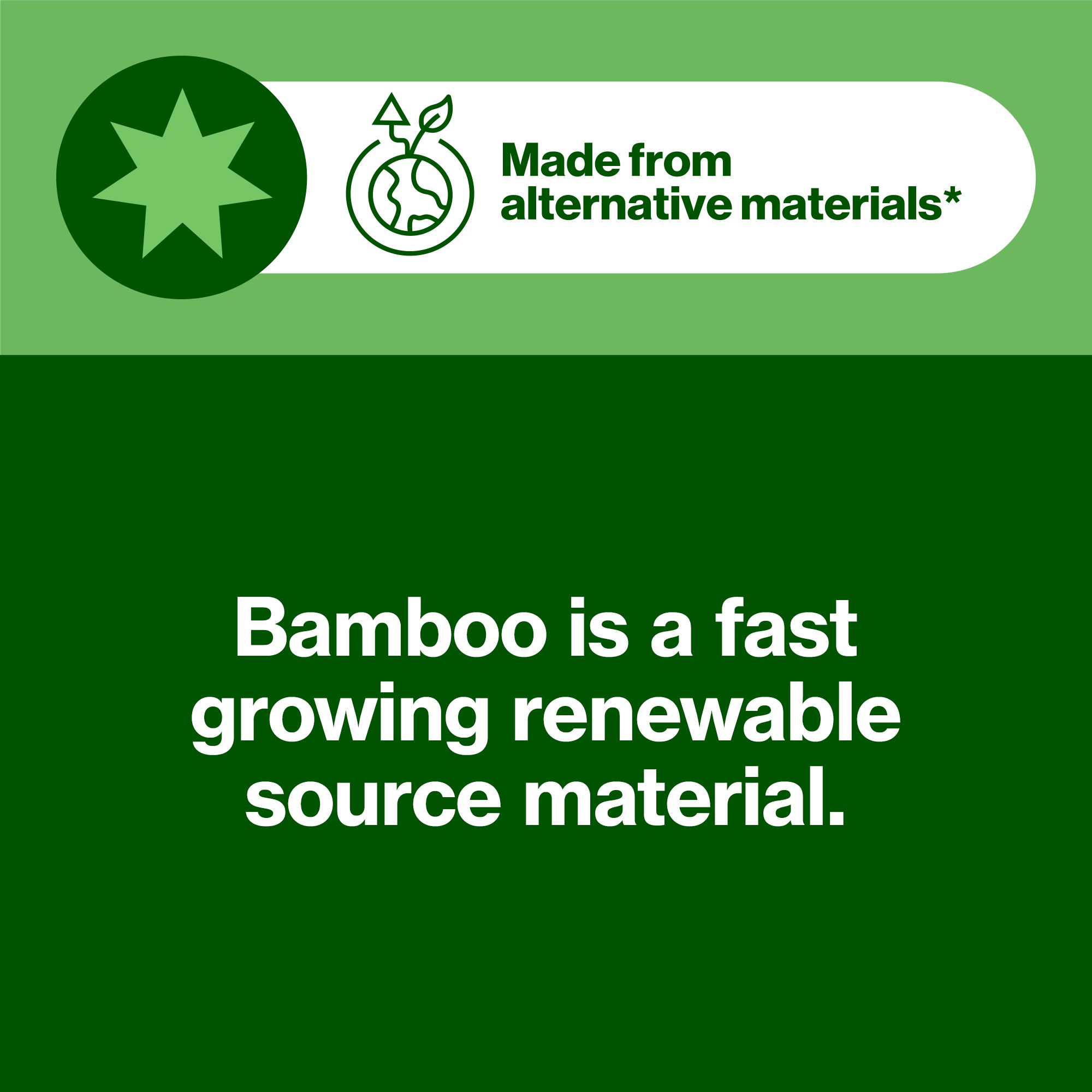 Verve Bamboo Cane 240cm, Pack of 10 | DIY at B&Q